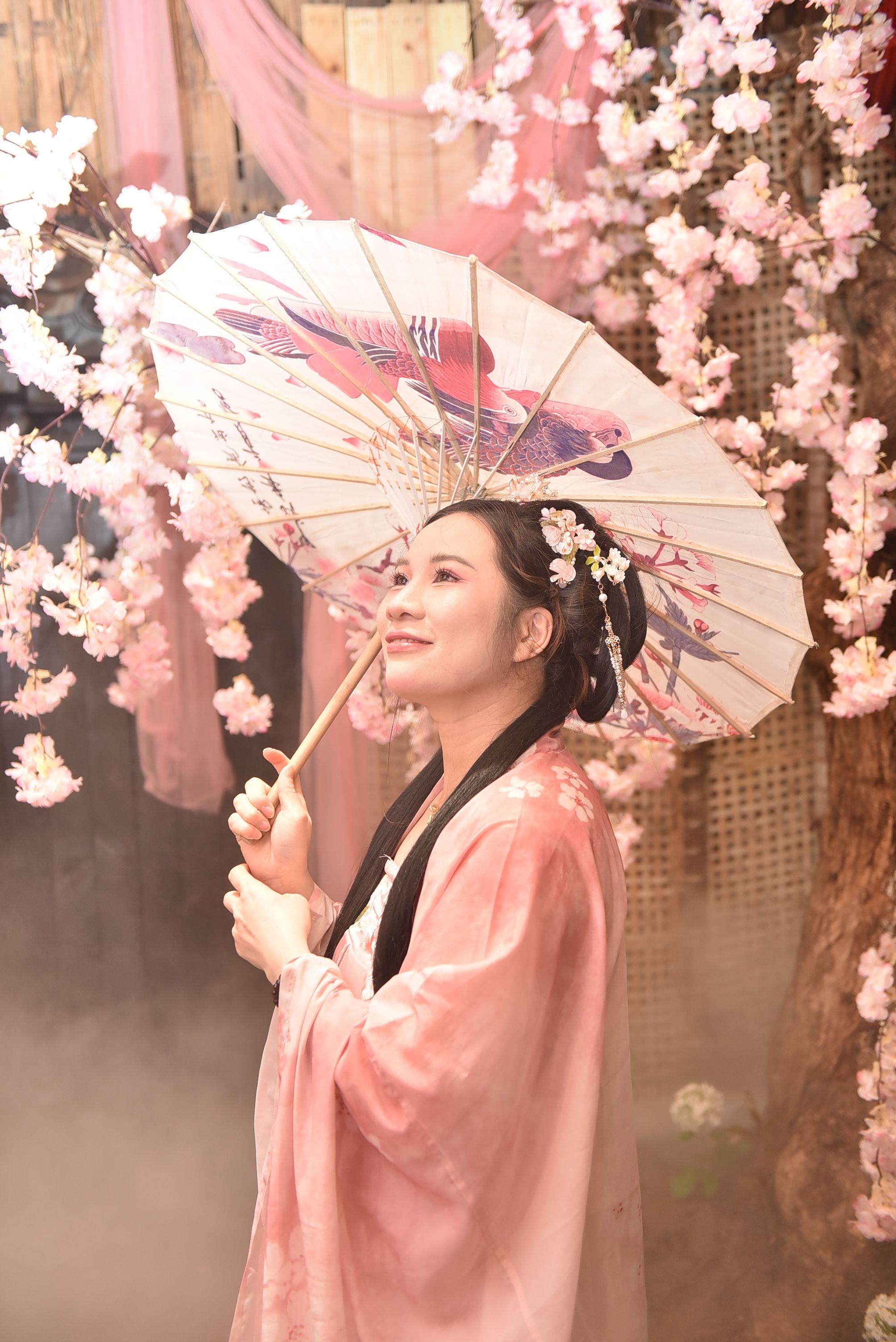 Frilly Parasol Photos, Download The BEST Free Frilly Parasol Stock ...