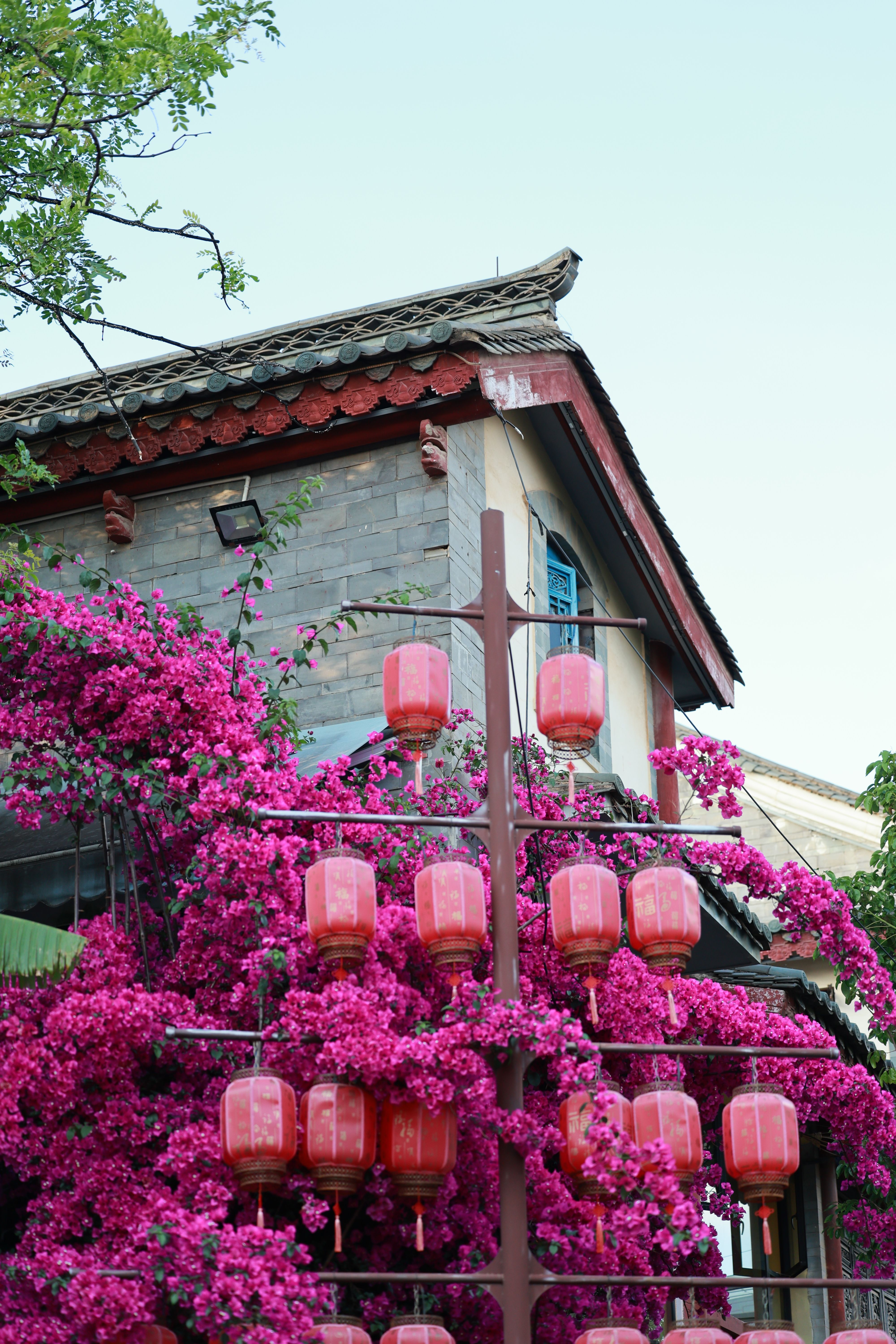 Traditional Asian House with Red Lanterns and Bougainvillea · Free ...