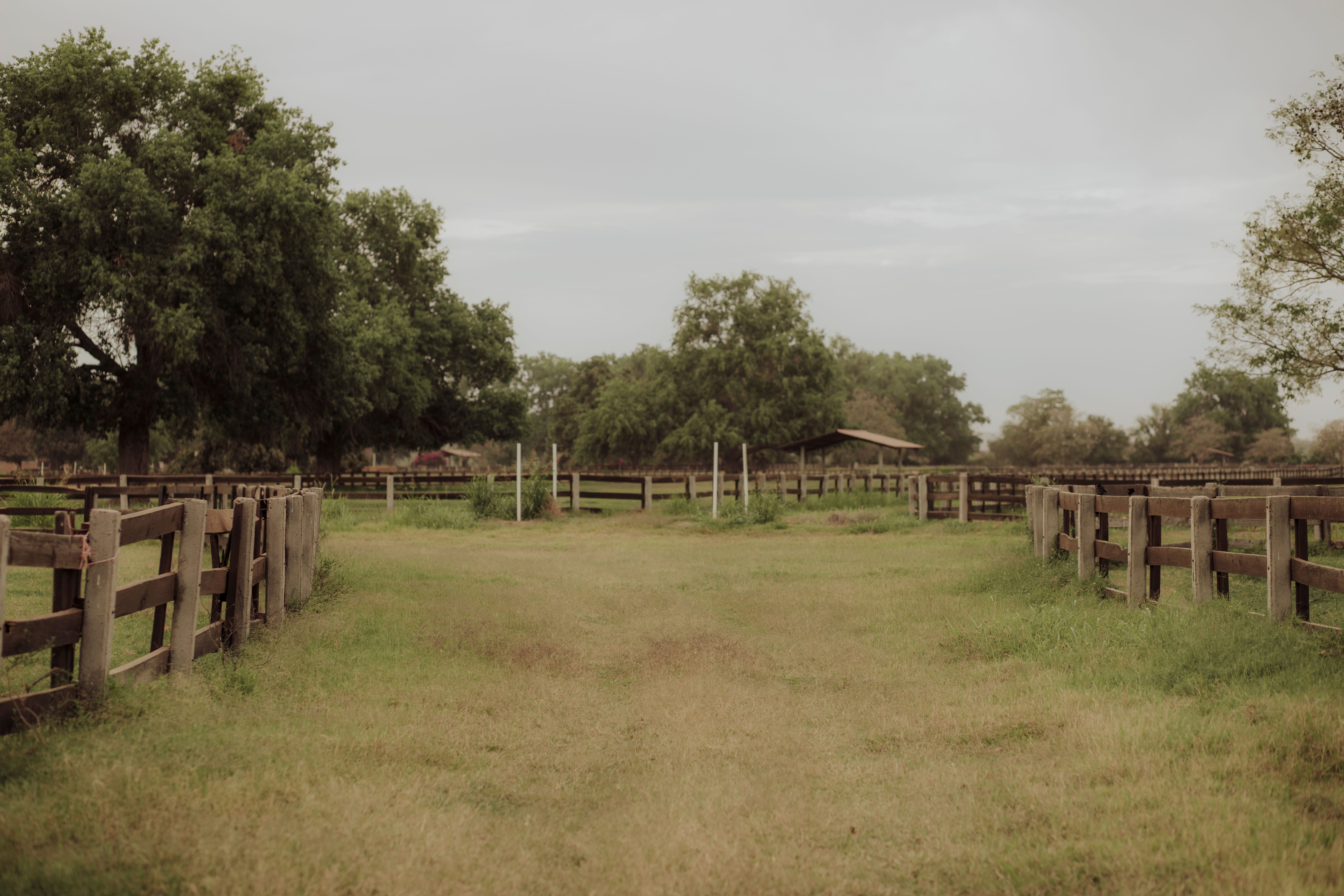 Ranch Photos, Download The BEST Free Ranch Stock Photos & HD Images