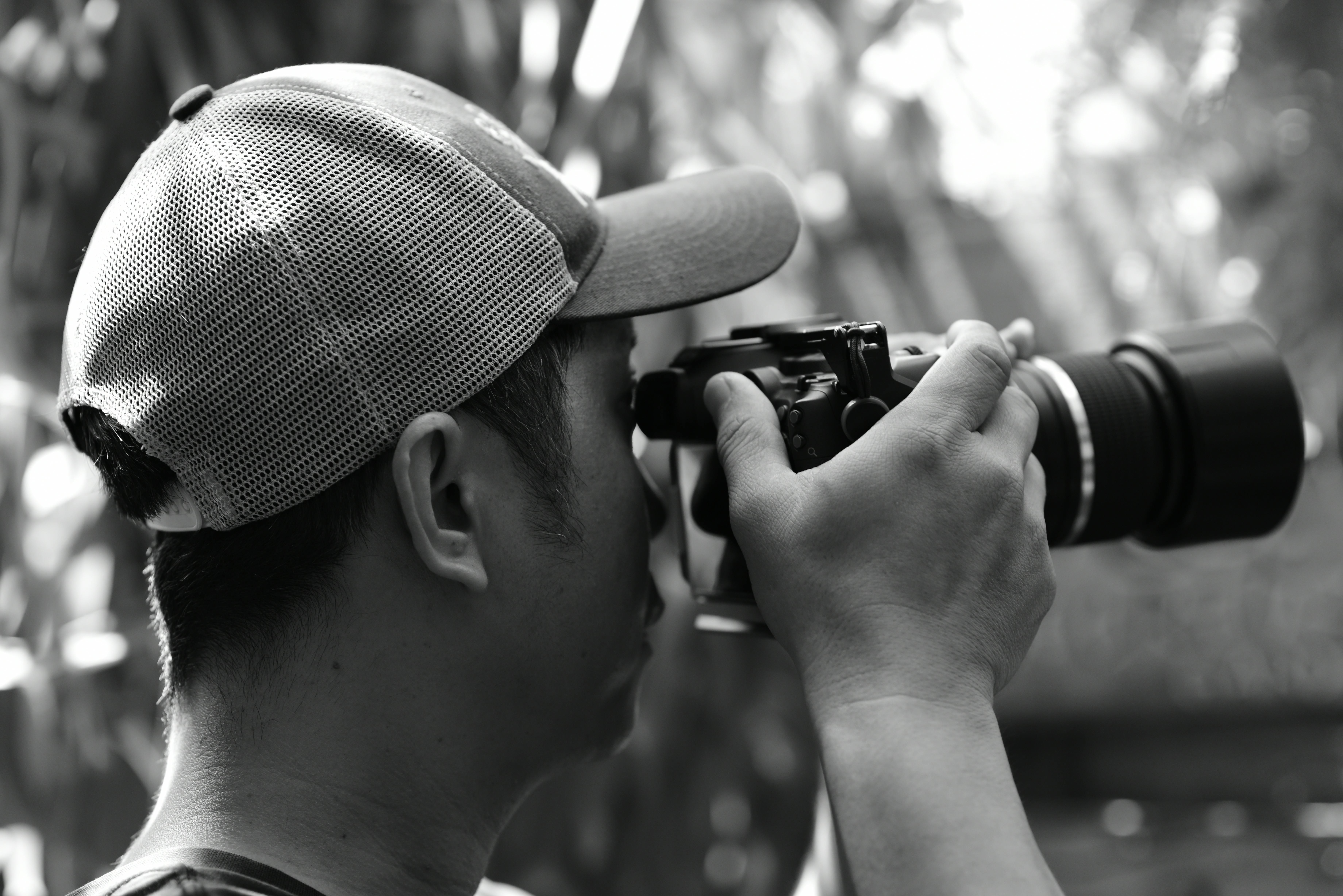 Creative Snapshot Photos, Download The BEST Free Creative Snapshot ...