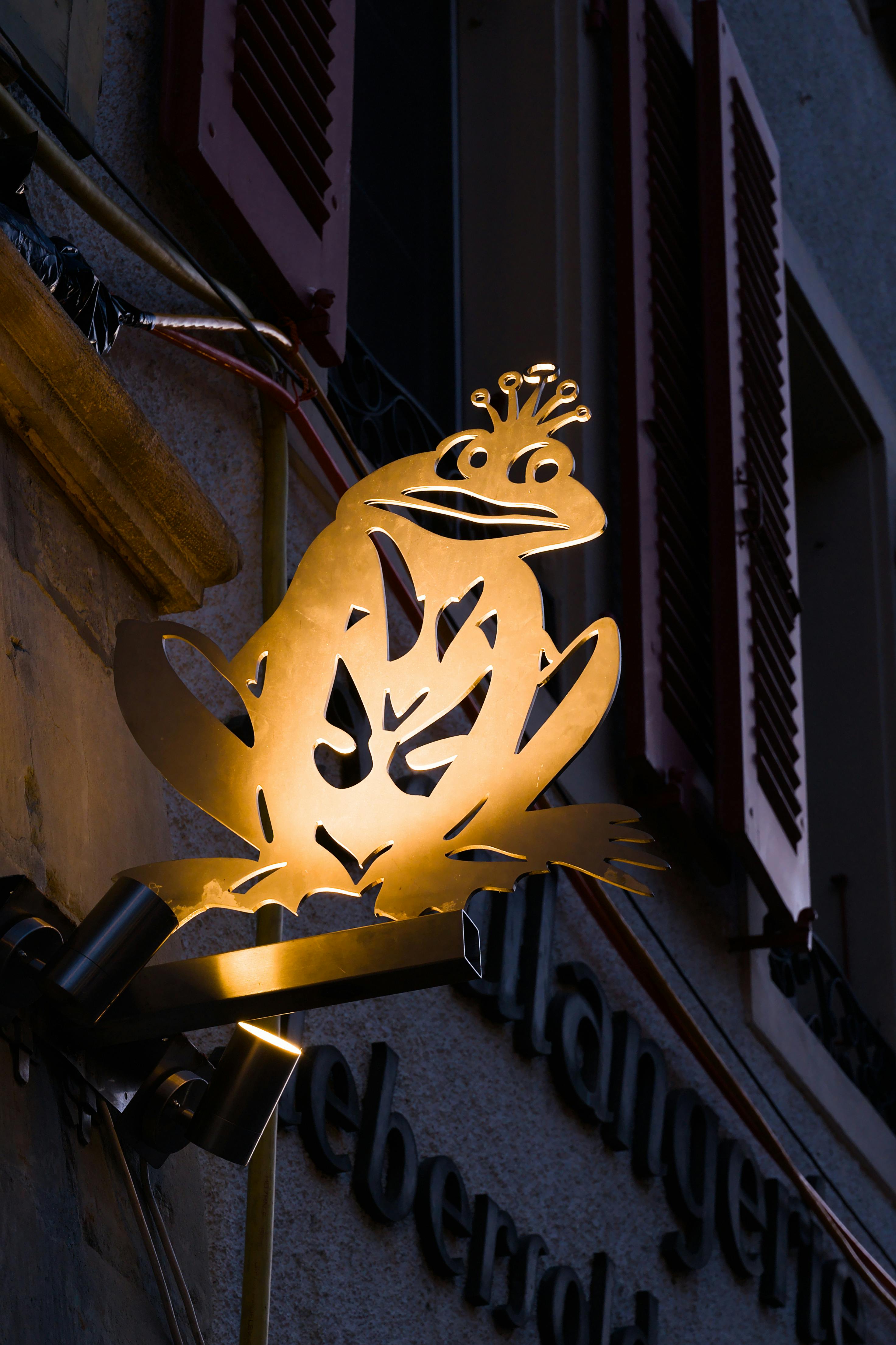 Illuminated Frog Sign at European Night Venue · Free Stock Photo