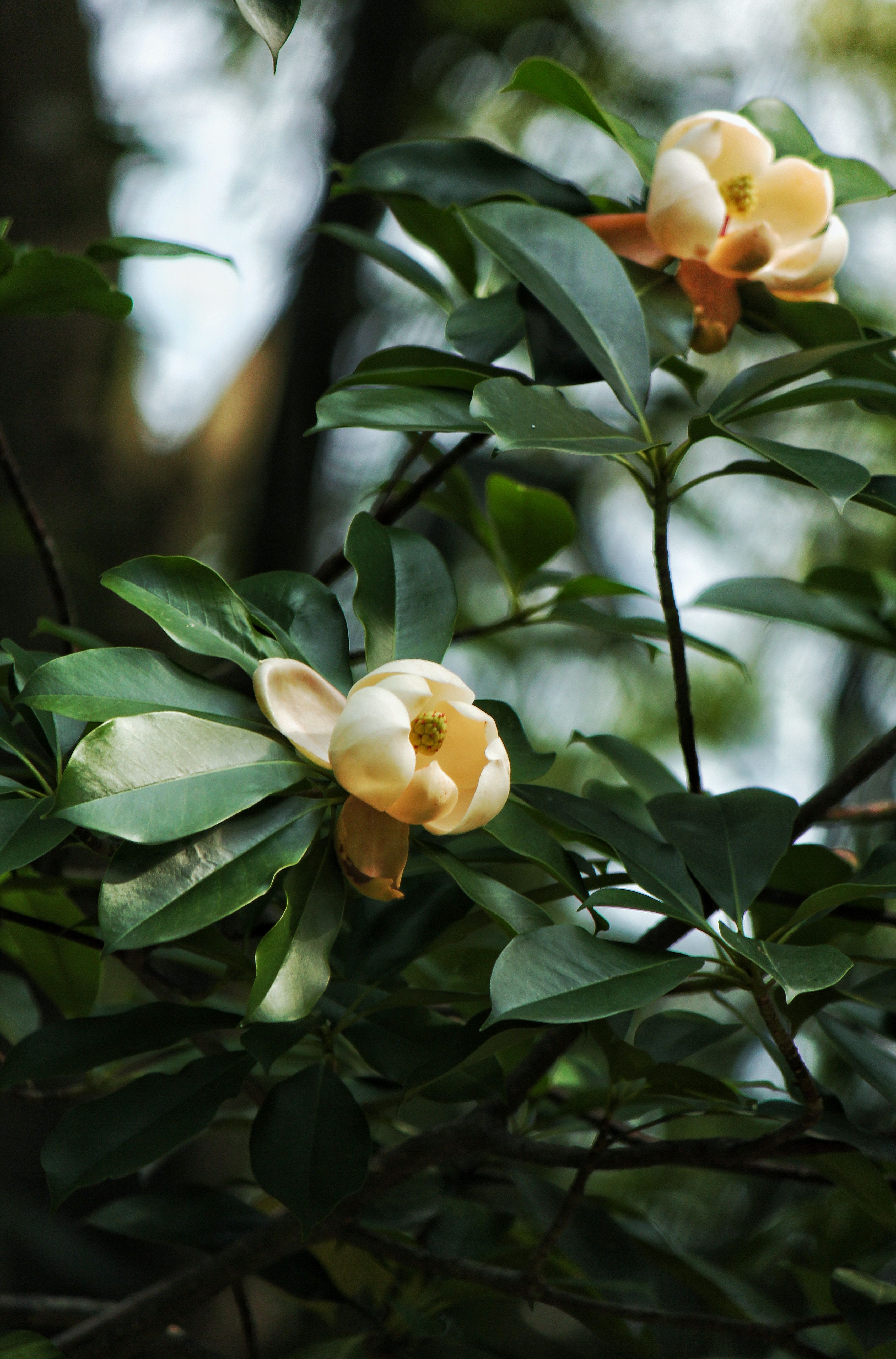 2 Mb Photos, Download The BEST Free 2 Mb Stock Photos & HD Images