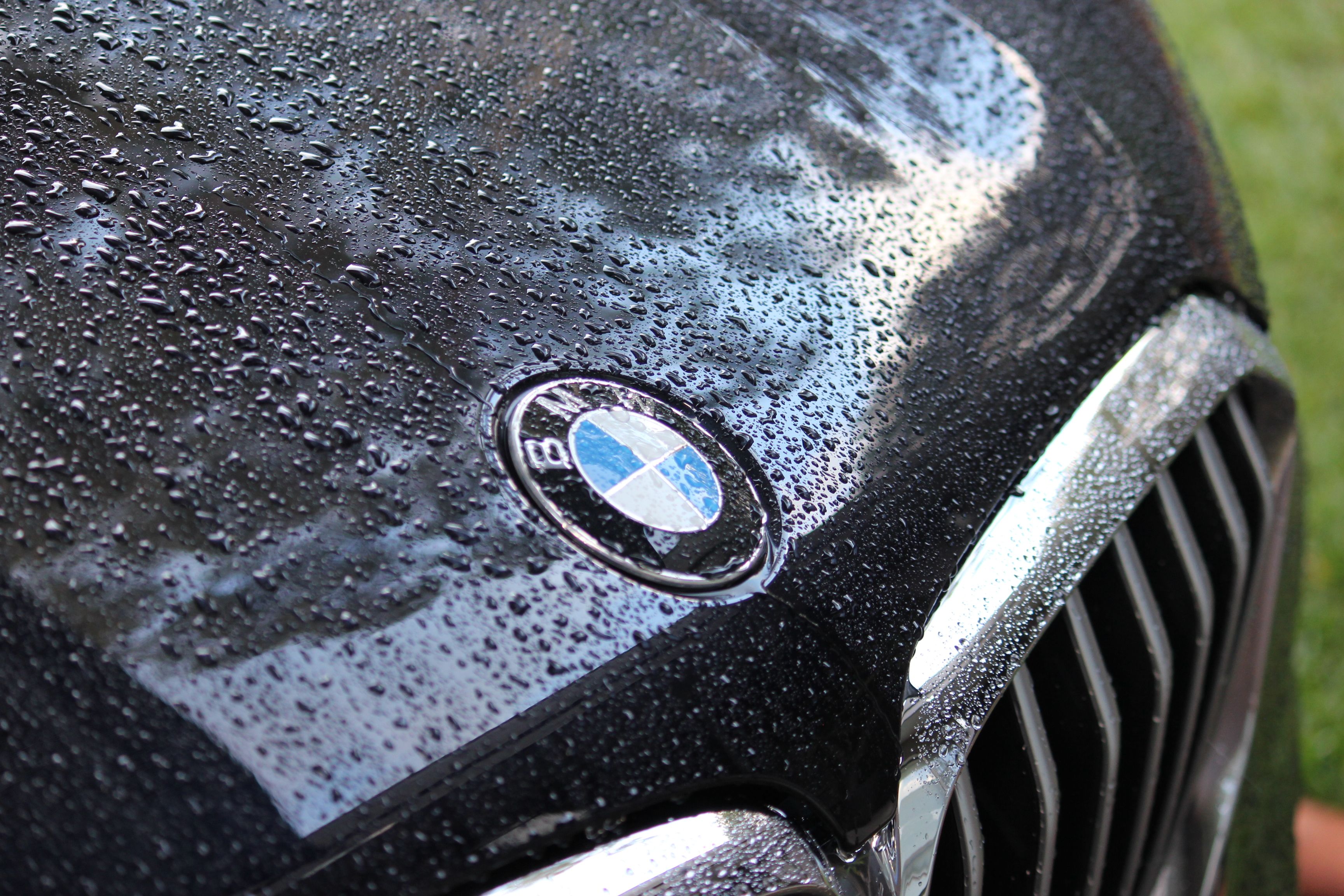 Close-up of a Wet Luxury Car Hood with Logo · Free Stock Photo