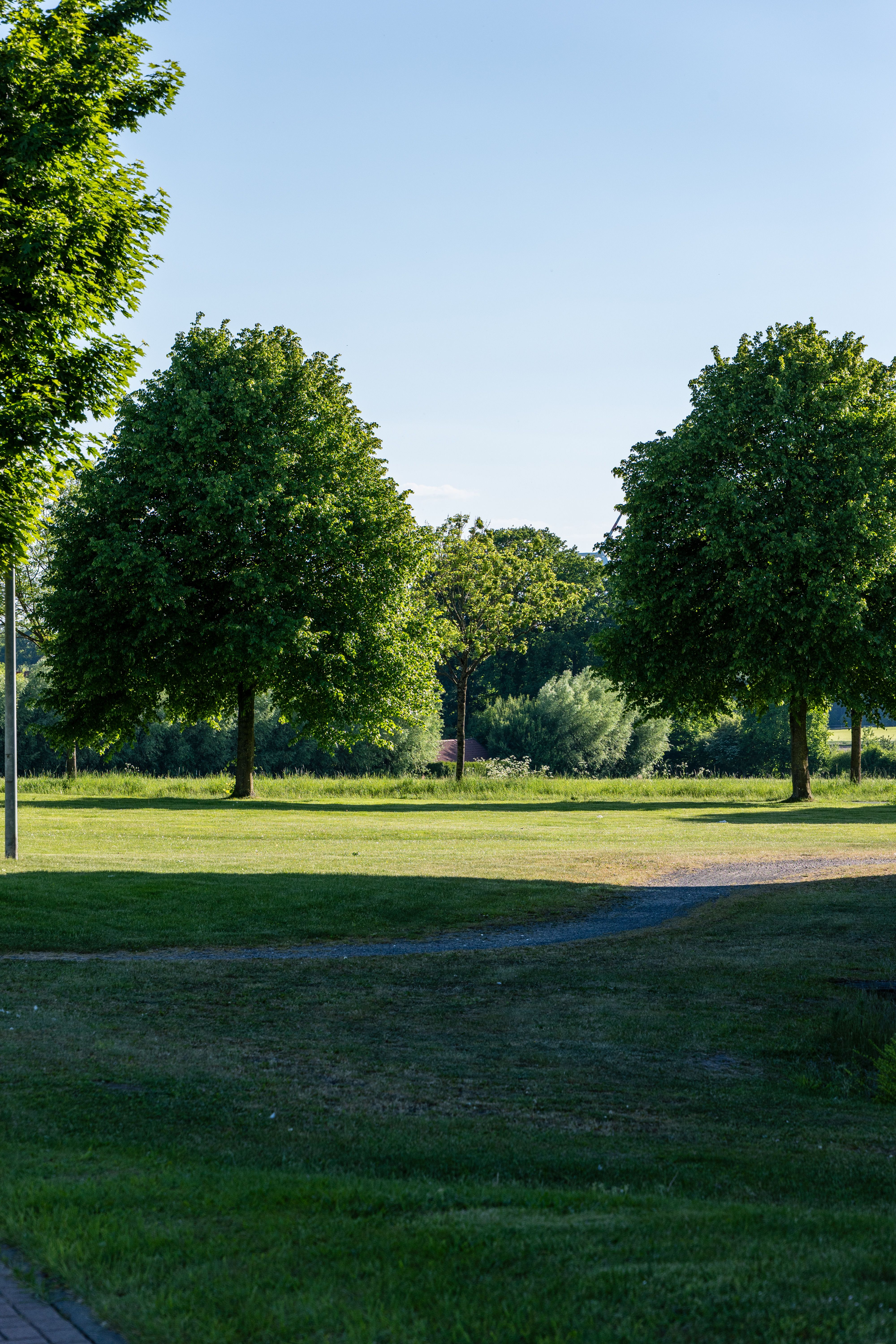 Sunny Park Scene with Green Trees and Blue Sky · Free Stock Photo