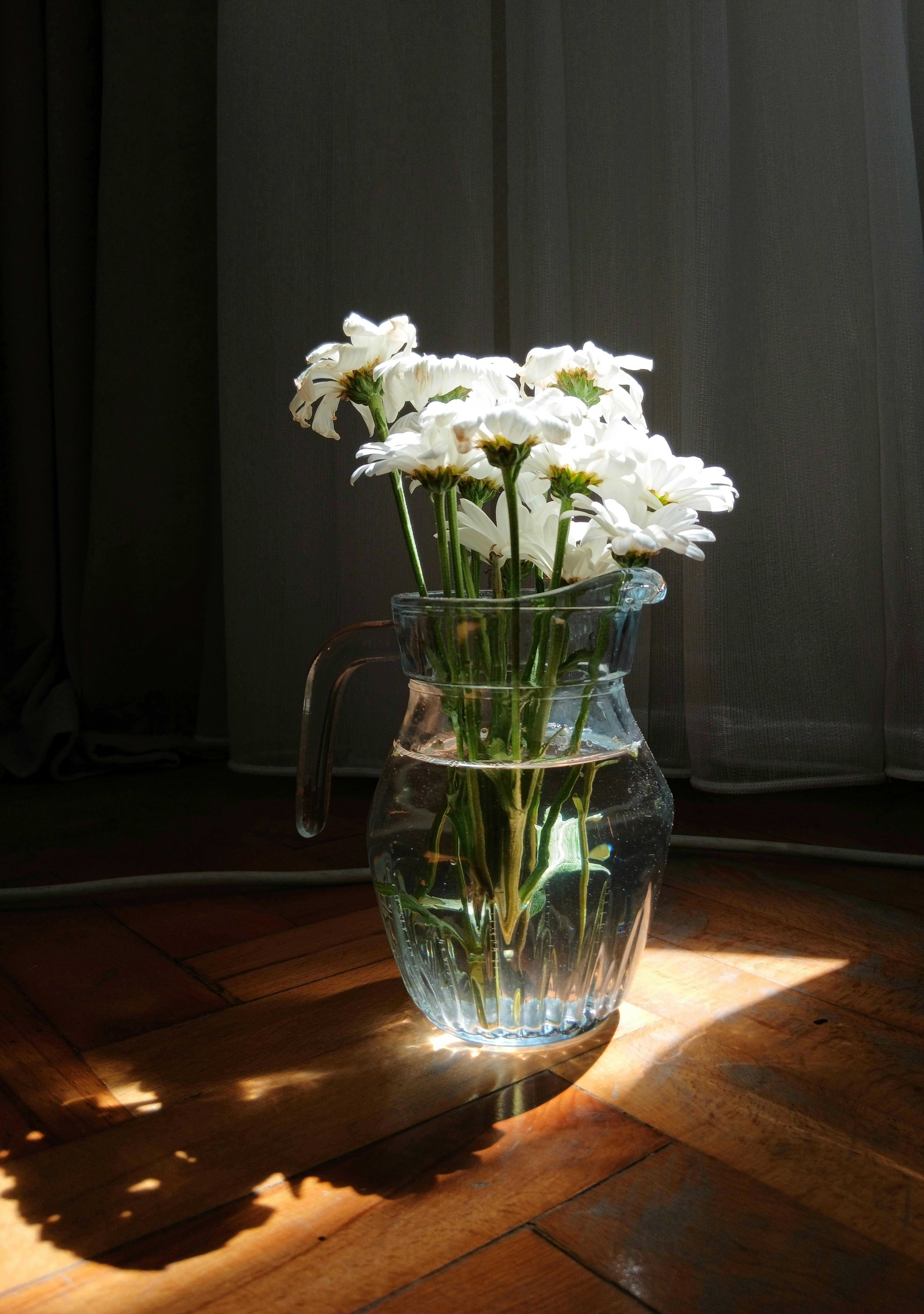 White Daisies in a Glass Vase with Natural Light · Free Stock Photo
