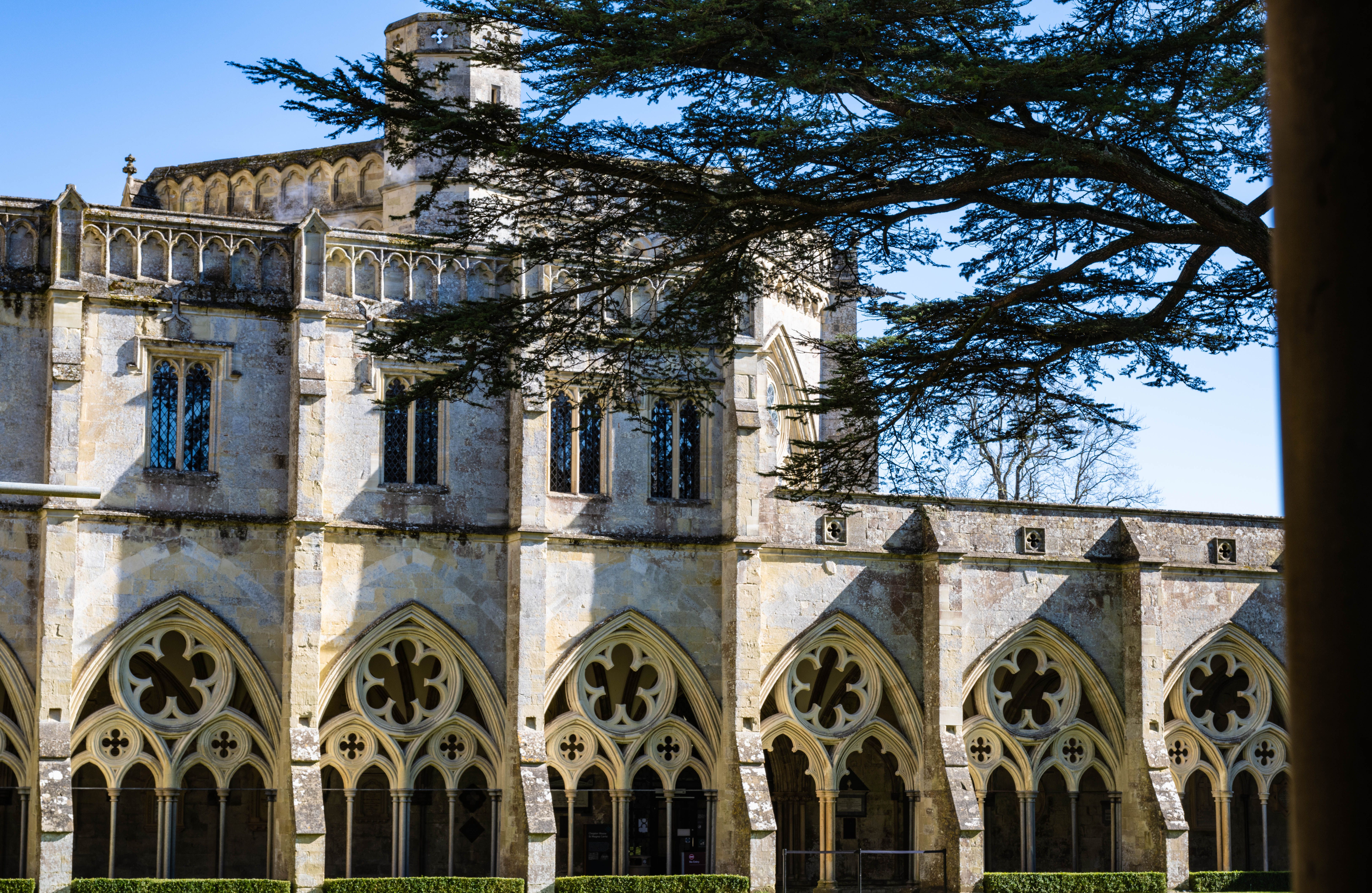 Gothic Architecture of Historical Abbey · Free Stock Photo