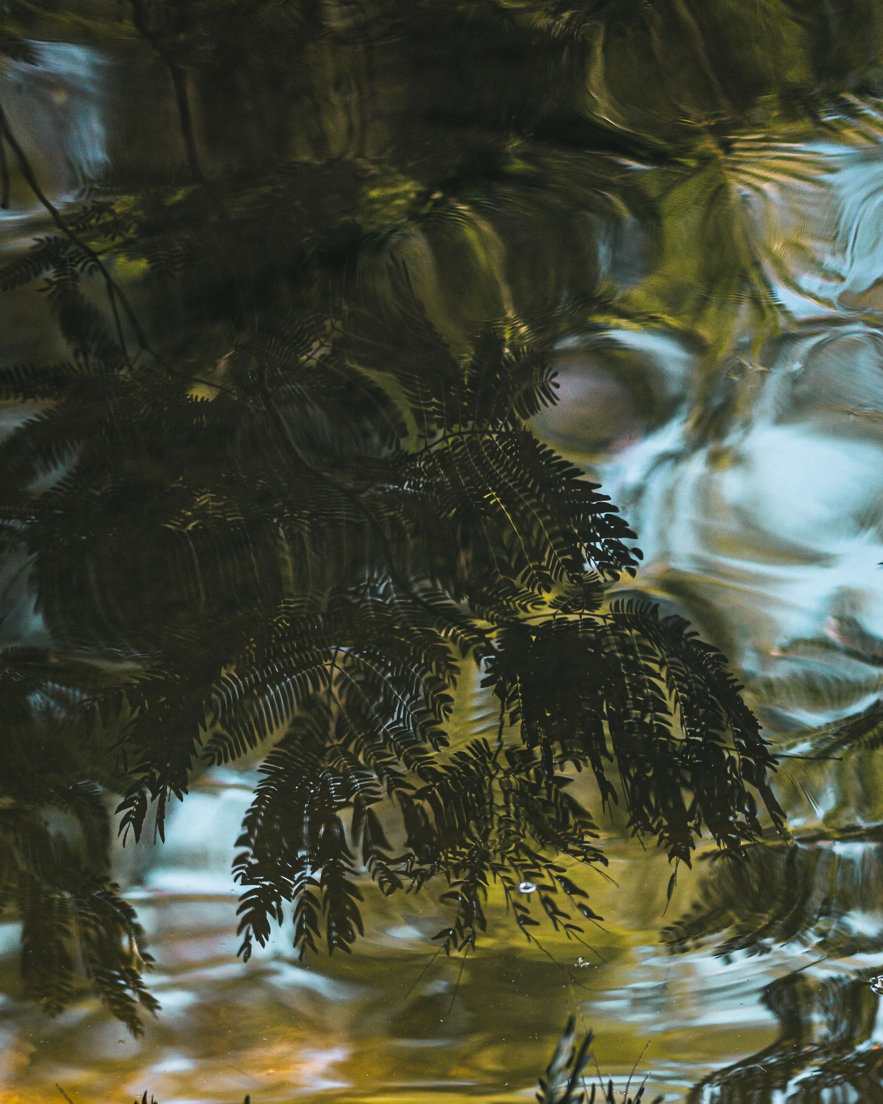 Reflections Photos Download The Best Free Reflections Stock Photos