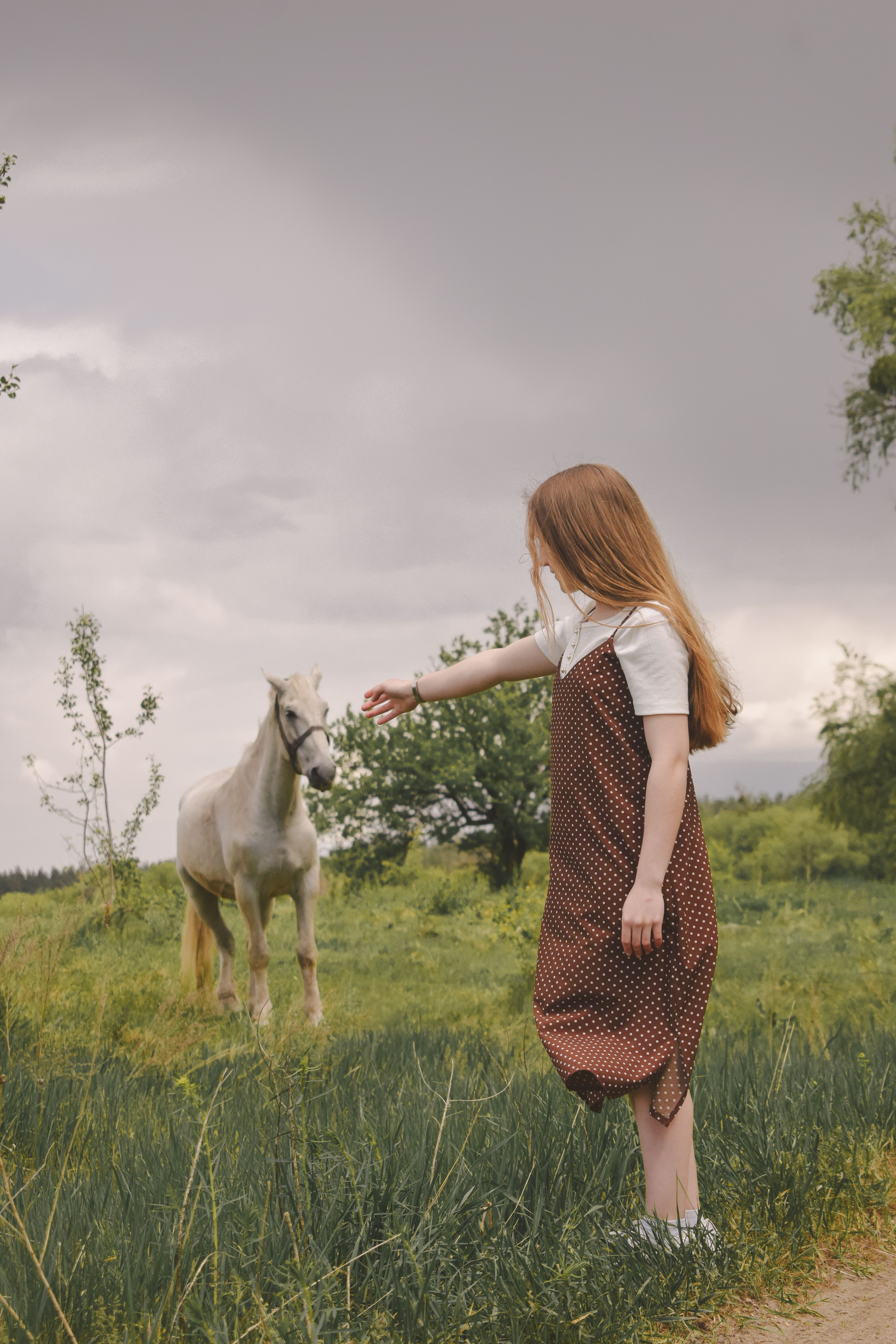 Girl Reaching Out to White Horse in Green Field · Free Stock Photo