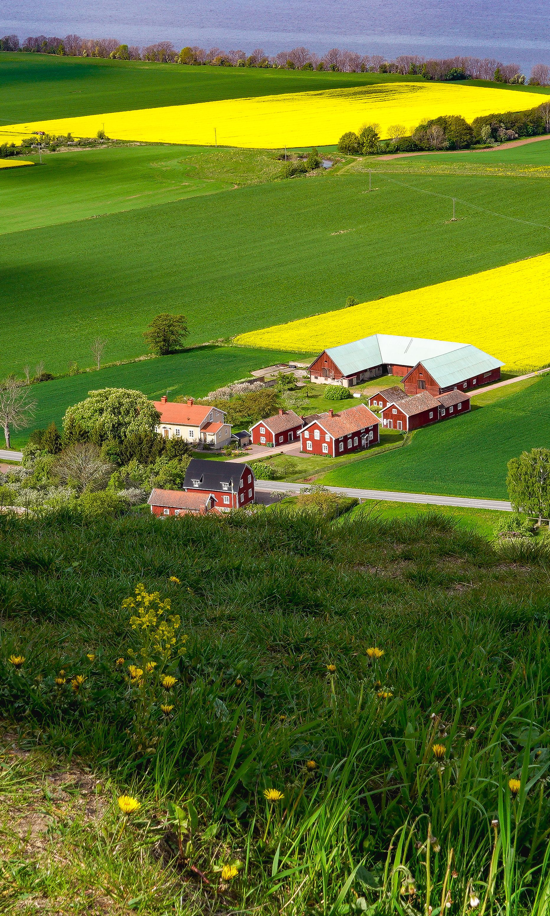 Scenic Swedish Countryside in Jönköpings län · Free Stock Photo