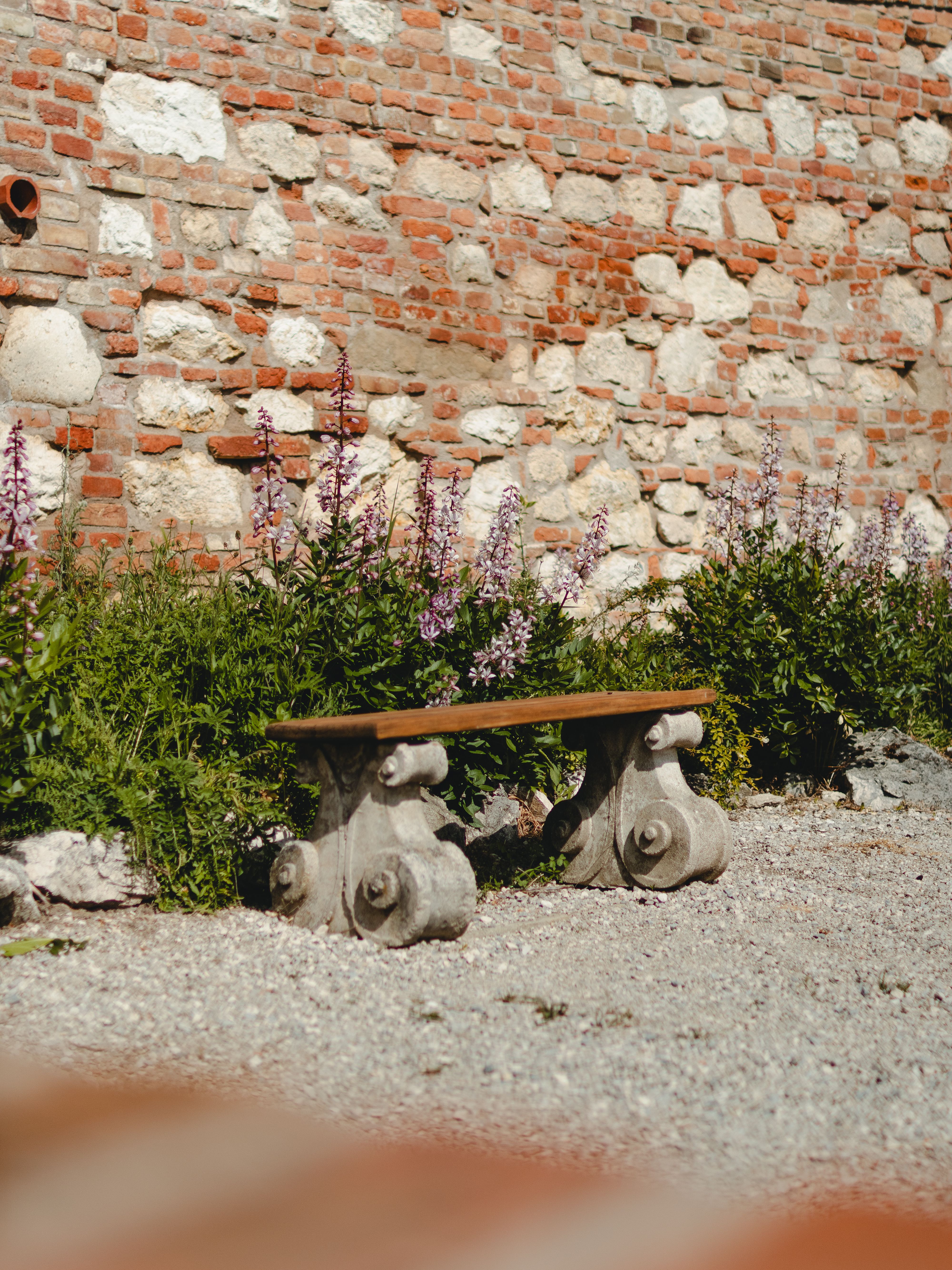 Rustic Garden Bench Against Brick Wall · Free Stock Photo