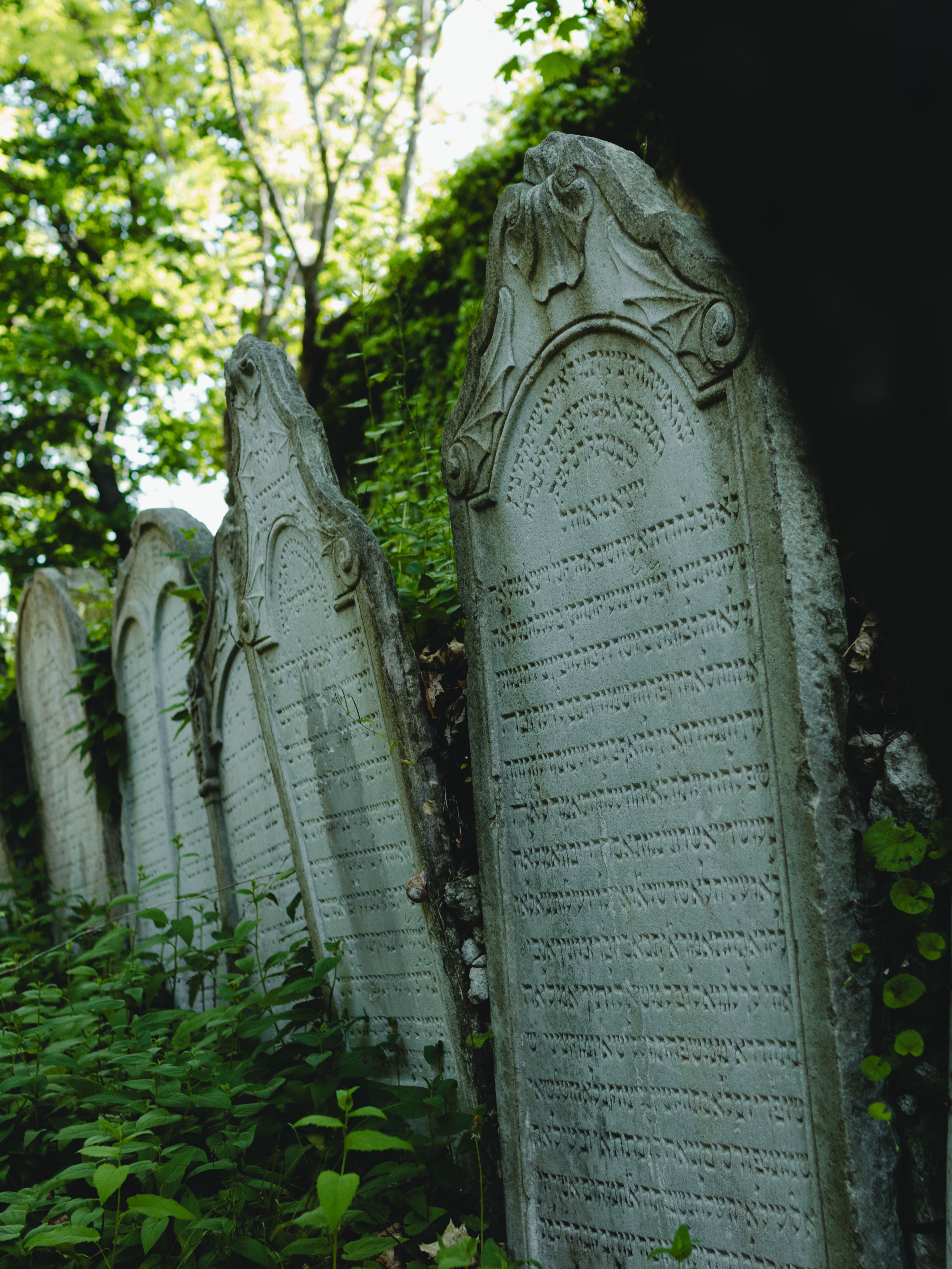 Historic Stone Grave Markers in Overgrown Cemetery · Free Stock Photo