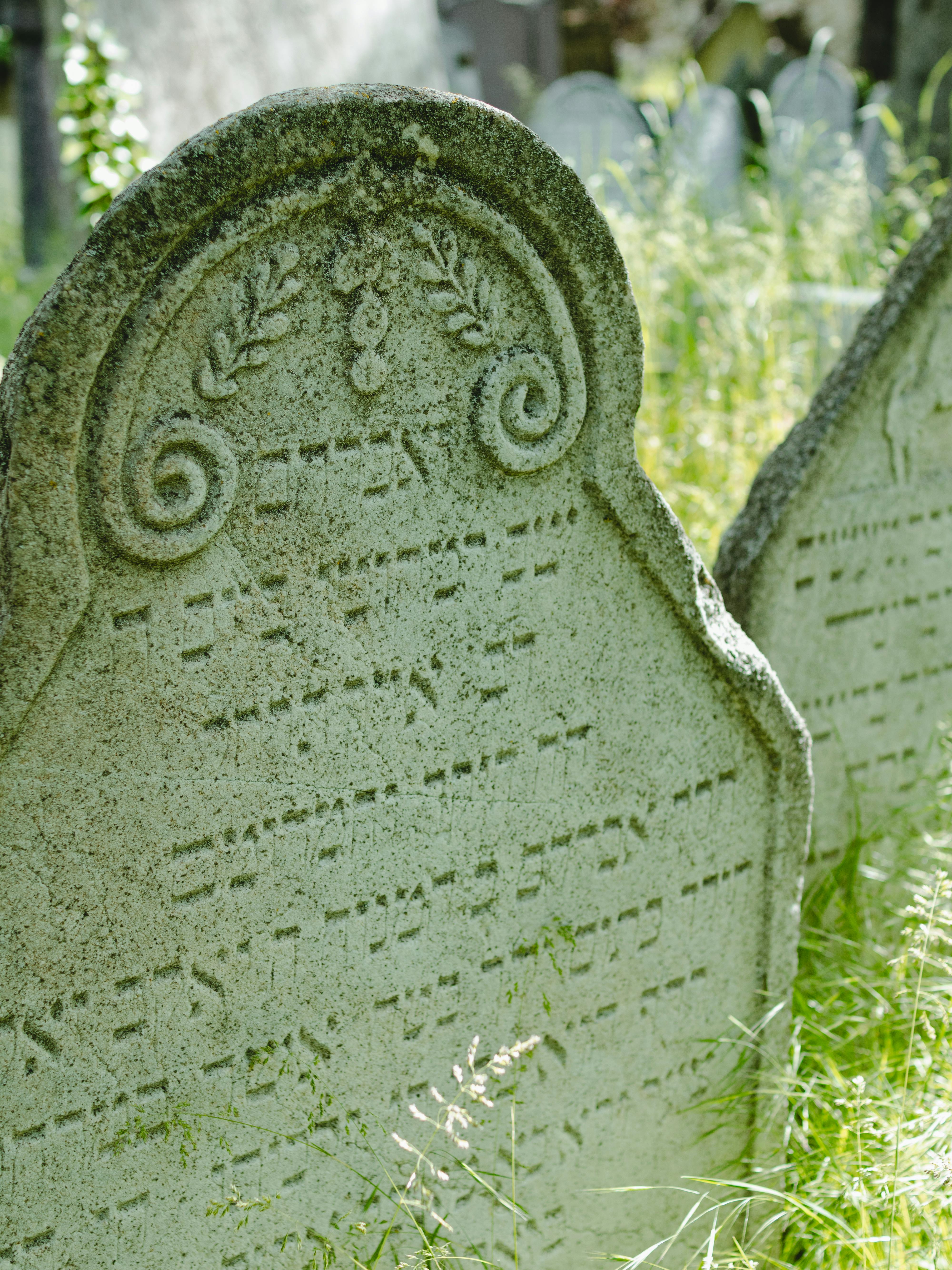 Historic Jewish Tombstones in Overgrown Cemetery · Free Stock Photo