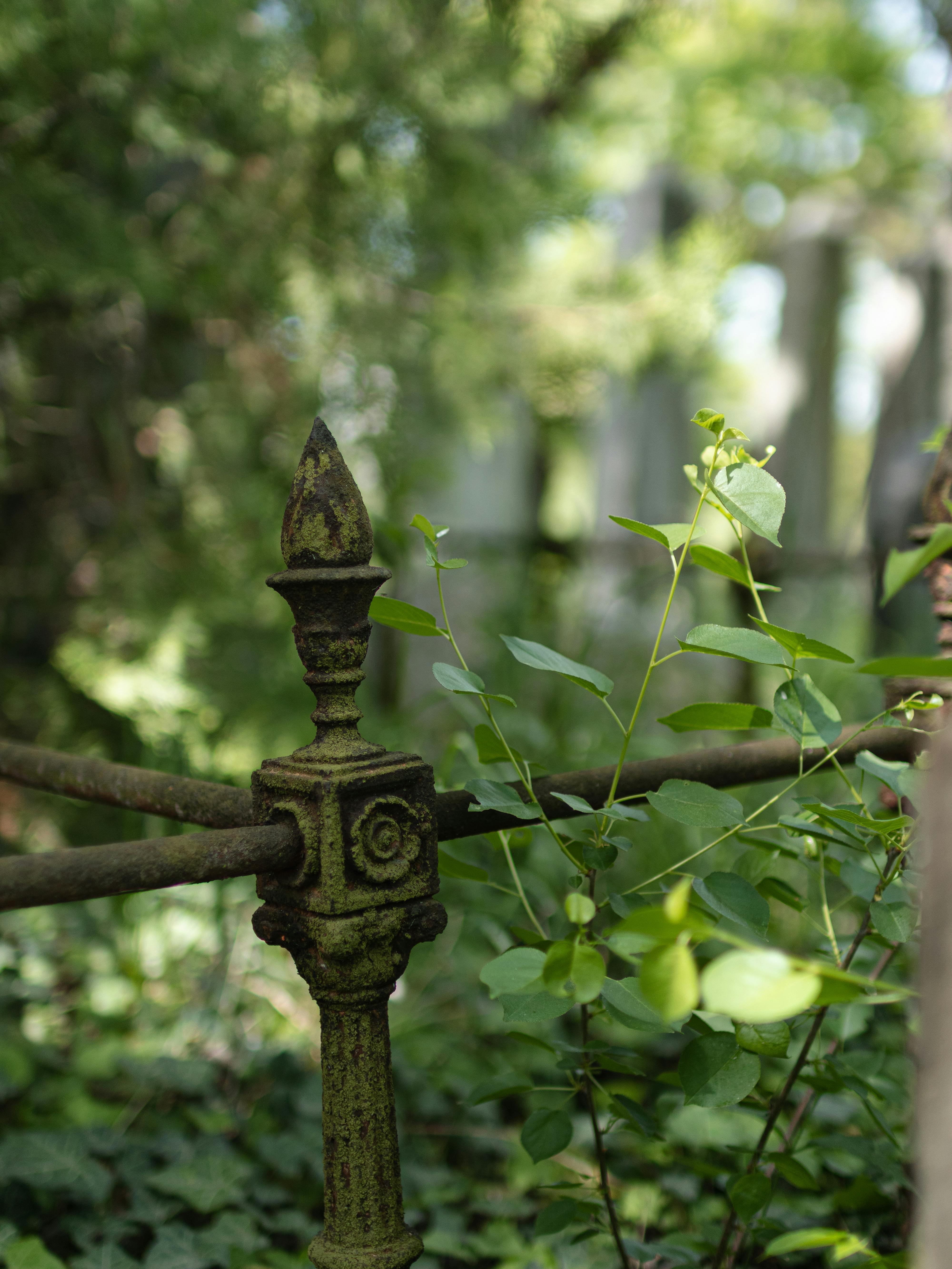 Rustic Iron Fence in Lush Green Garden · Free Stock Photo