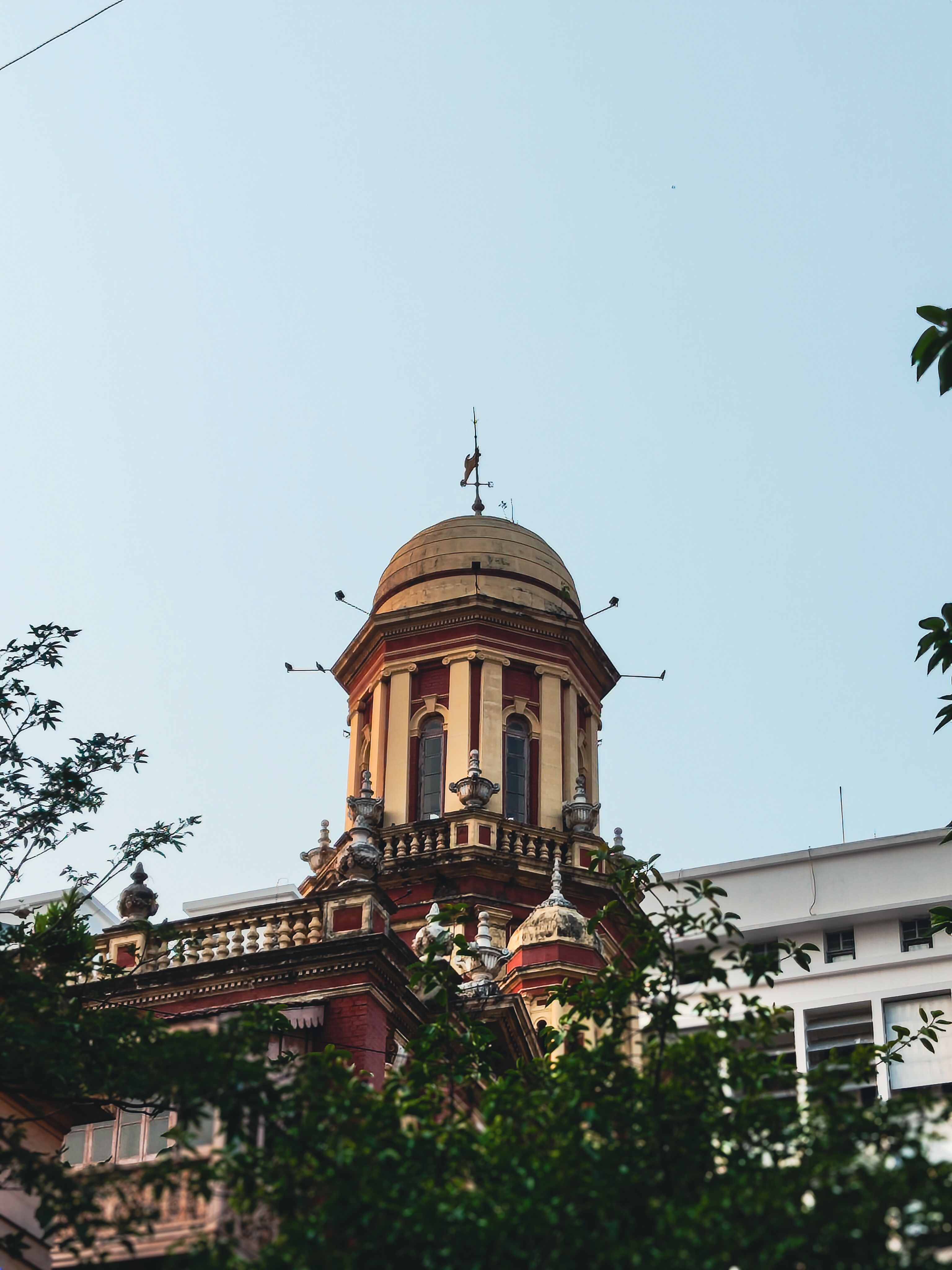Ayudh Roy - Photography