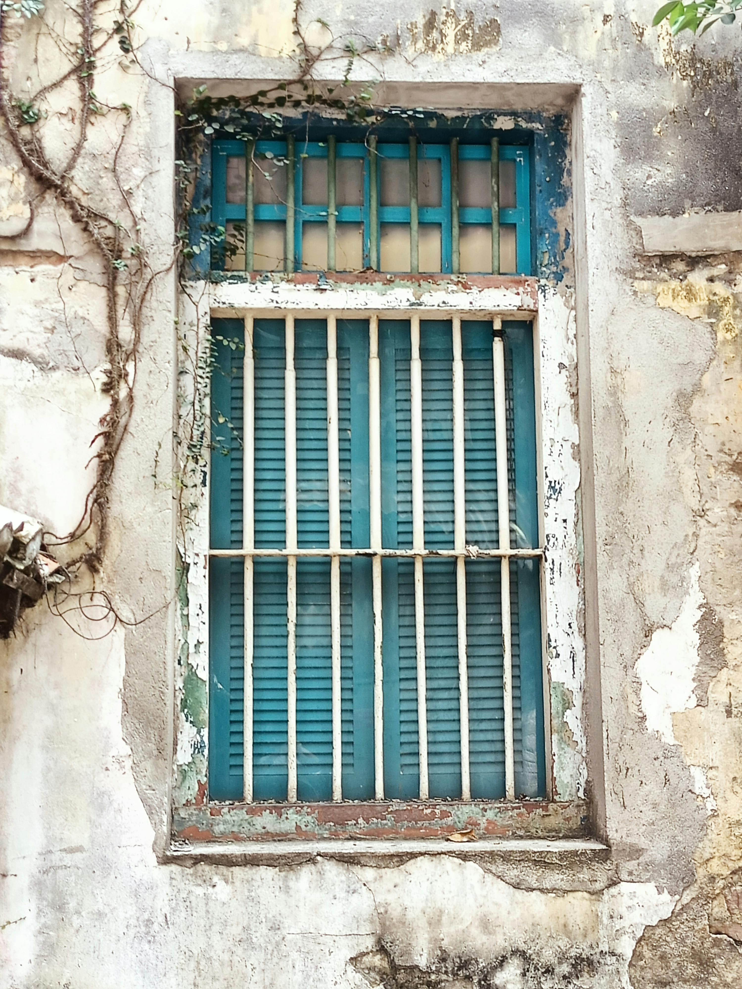 Rustic Weathered Window with Vines · Free Stock Photo