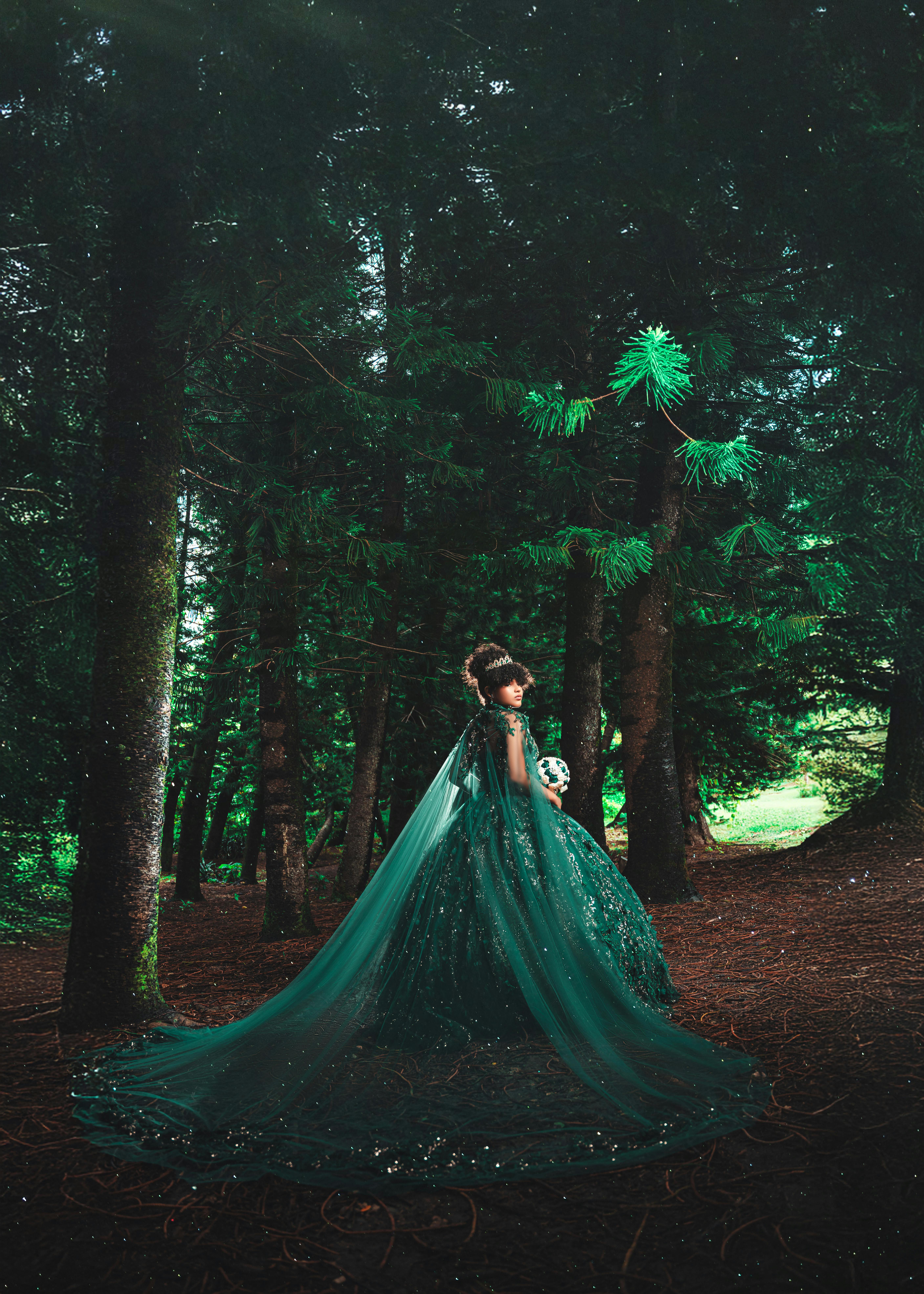 Enchanted Forest Photoshoot with Elegant Gown · Free Stock Photo