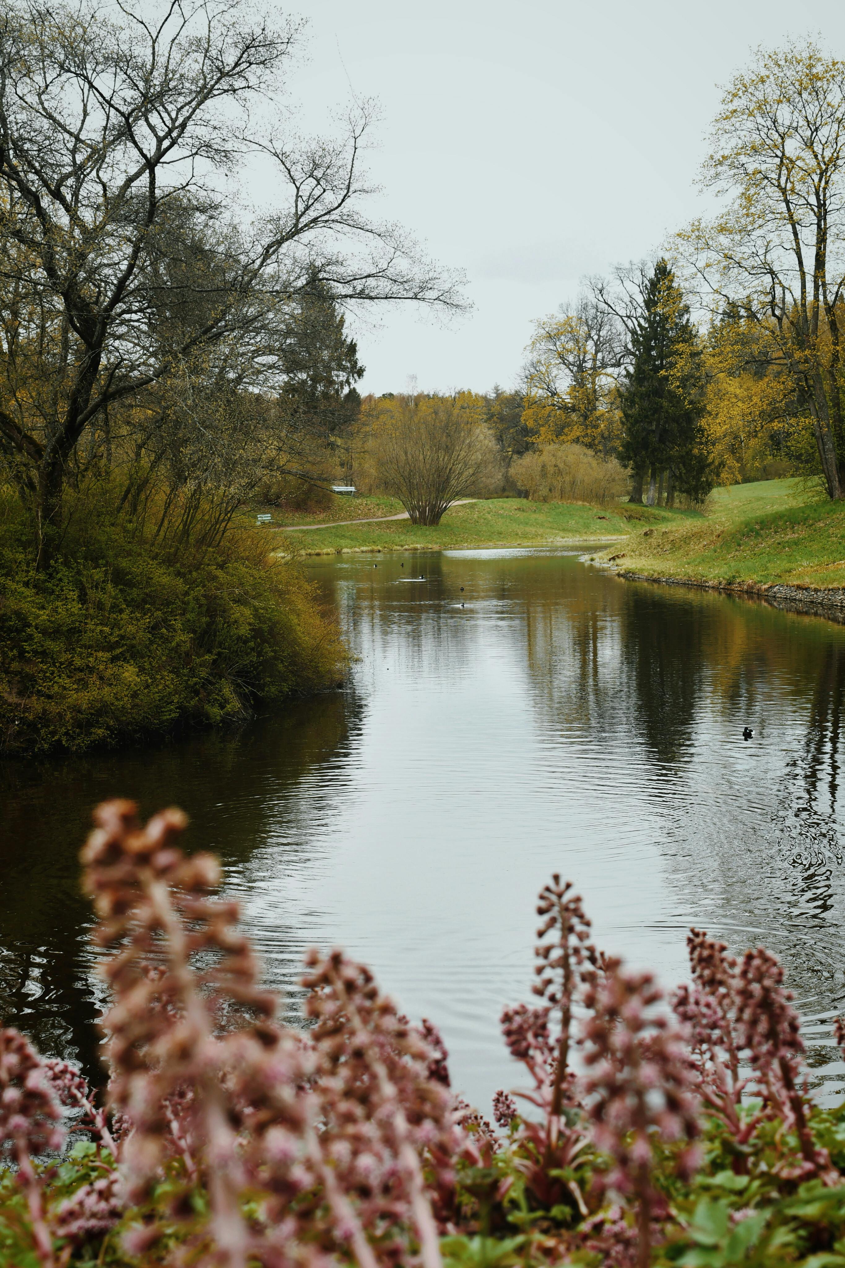Water Reflections In A Pond Or River Phone Photos, Download The BEST ...