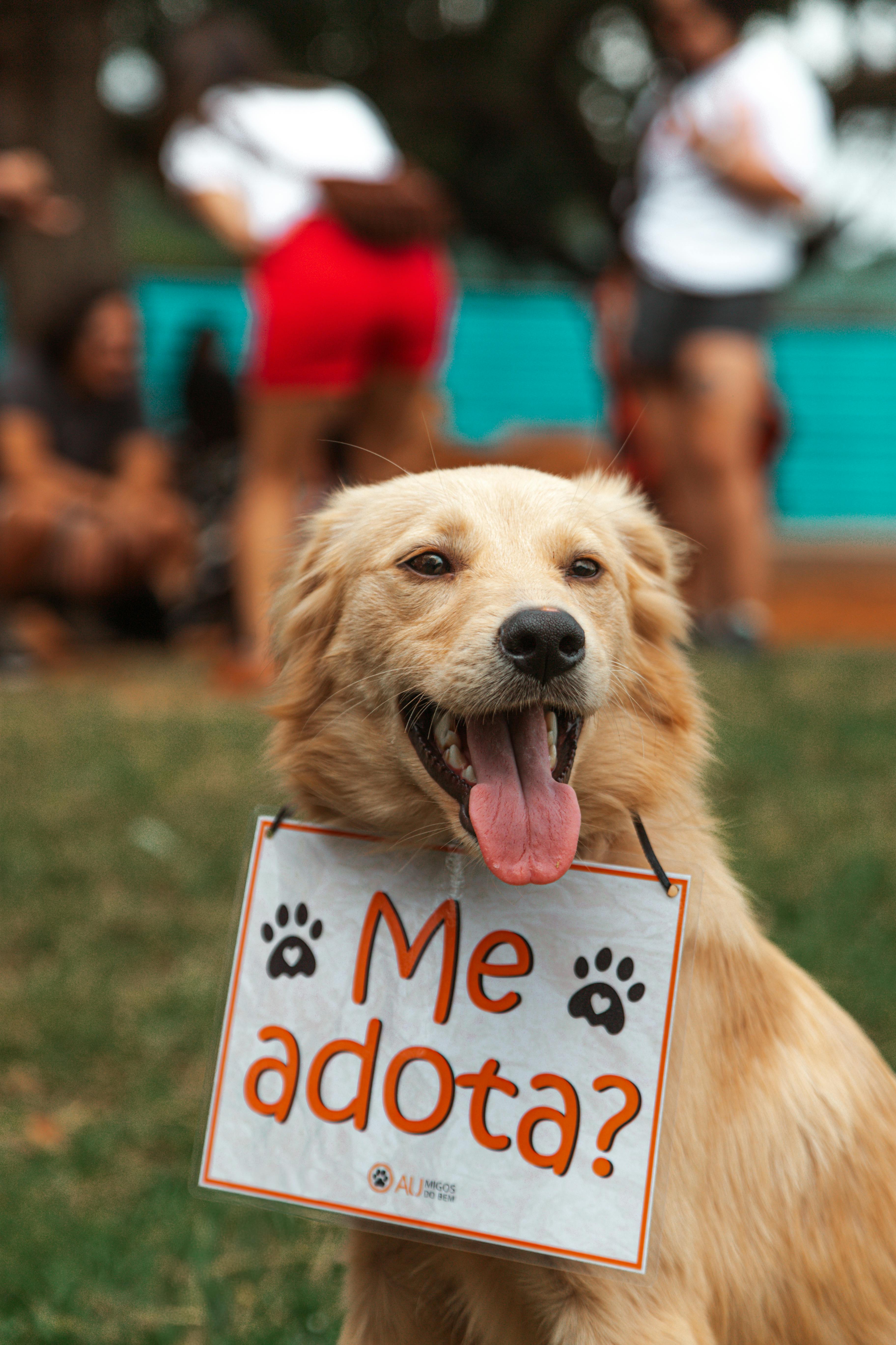 Friendly+Rivalry+Wallpaper Photos, Download The BEST Free Friendly ...