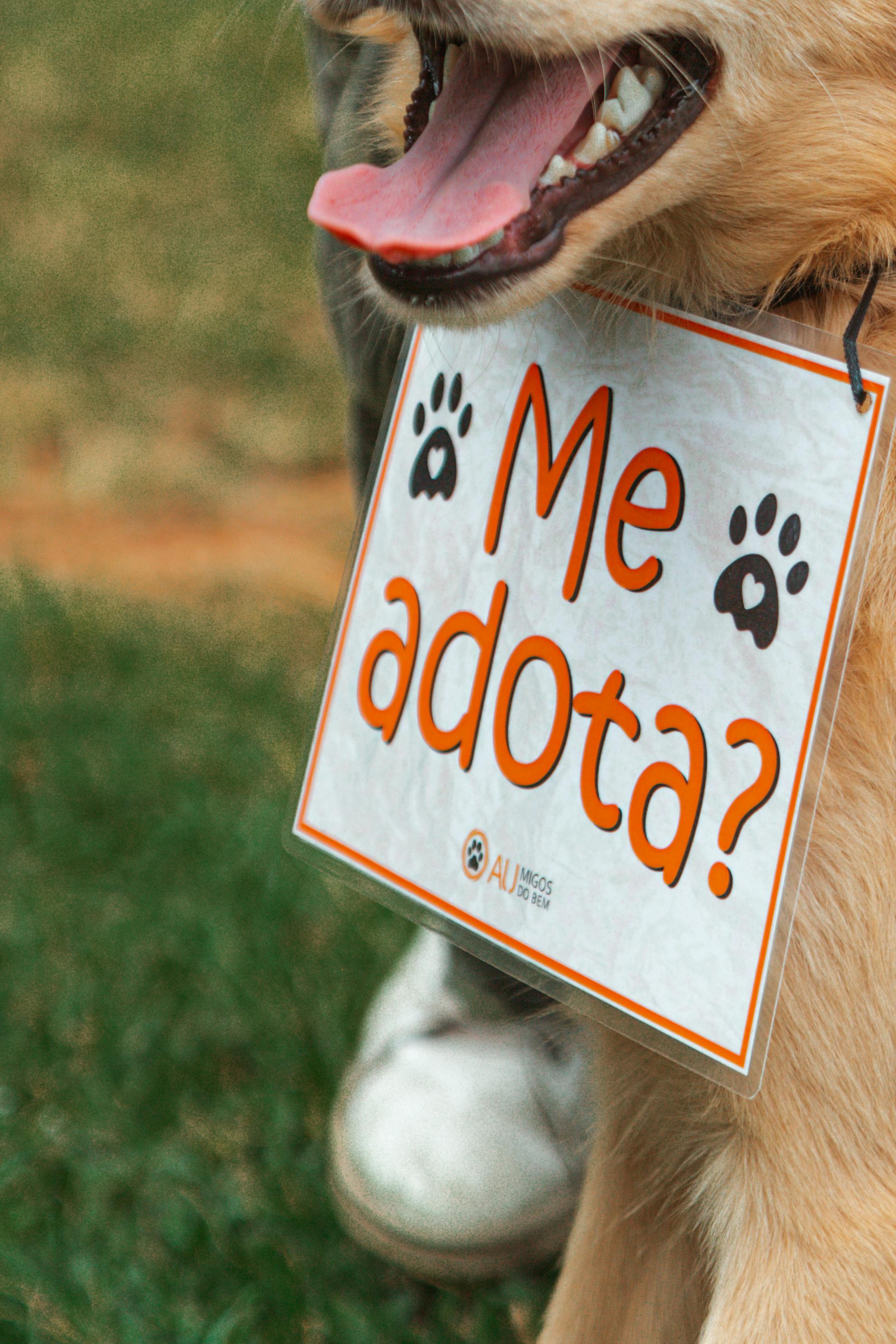 No Pets Sign Photos, Download The BEST Free No Pets Sign Stock Photos ...