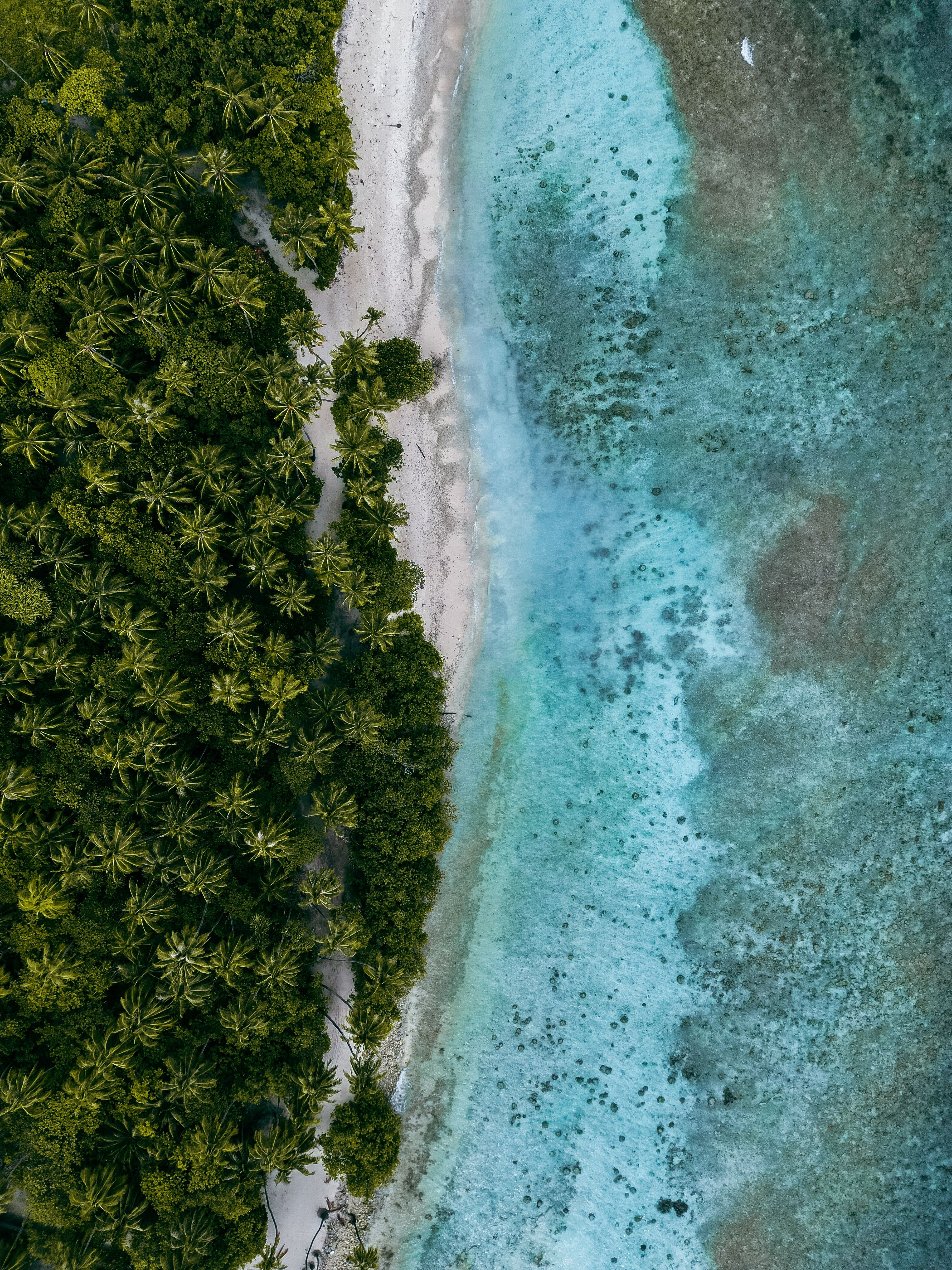 Top View Photo of Seashore · Free Stock Photo