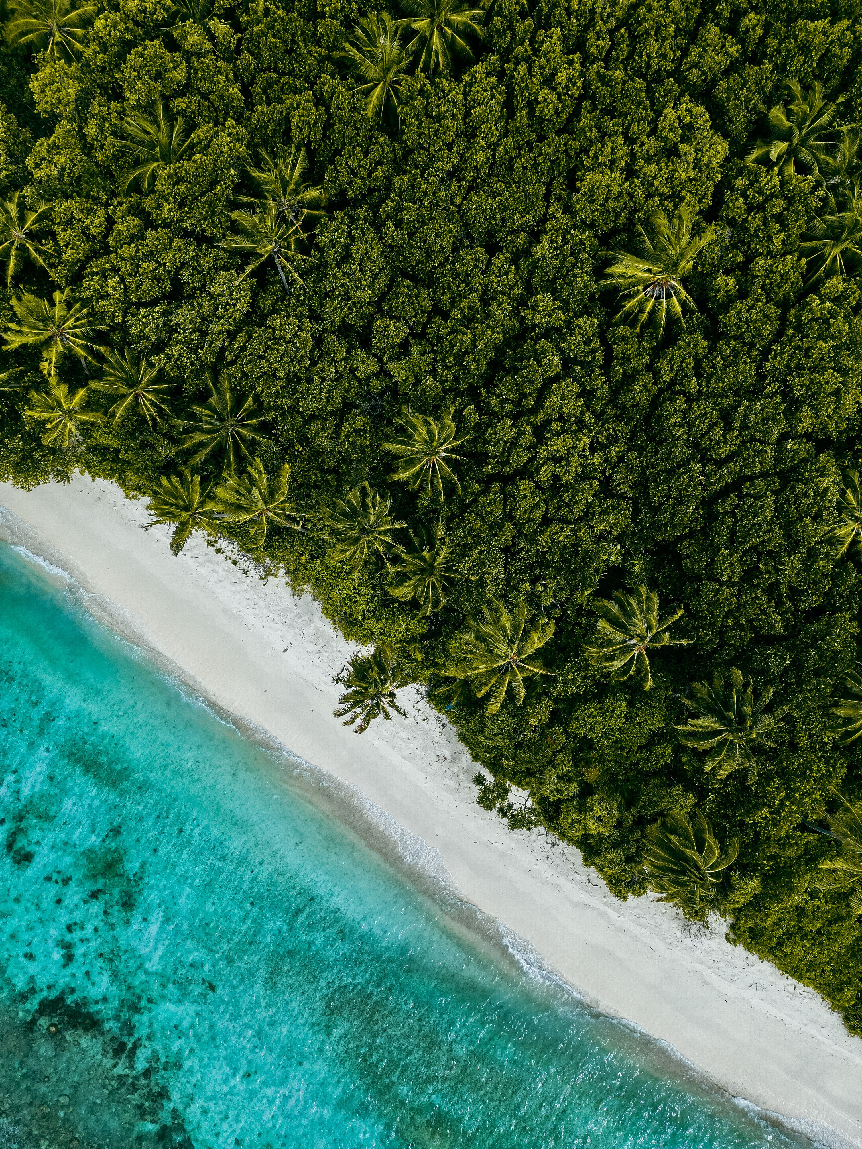 Top View Photo of Seashore · Free Stock Photo