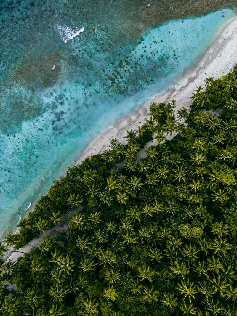 Beach Gifs Photos, Download The BEST Free Beach Gifs Stock Photos & HD ...