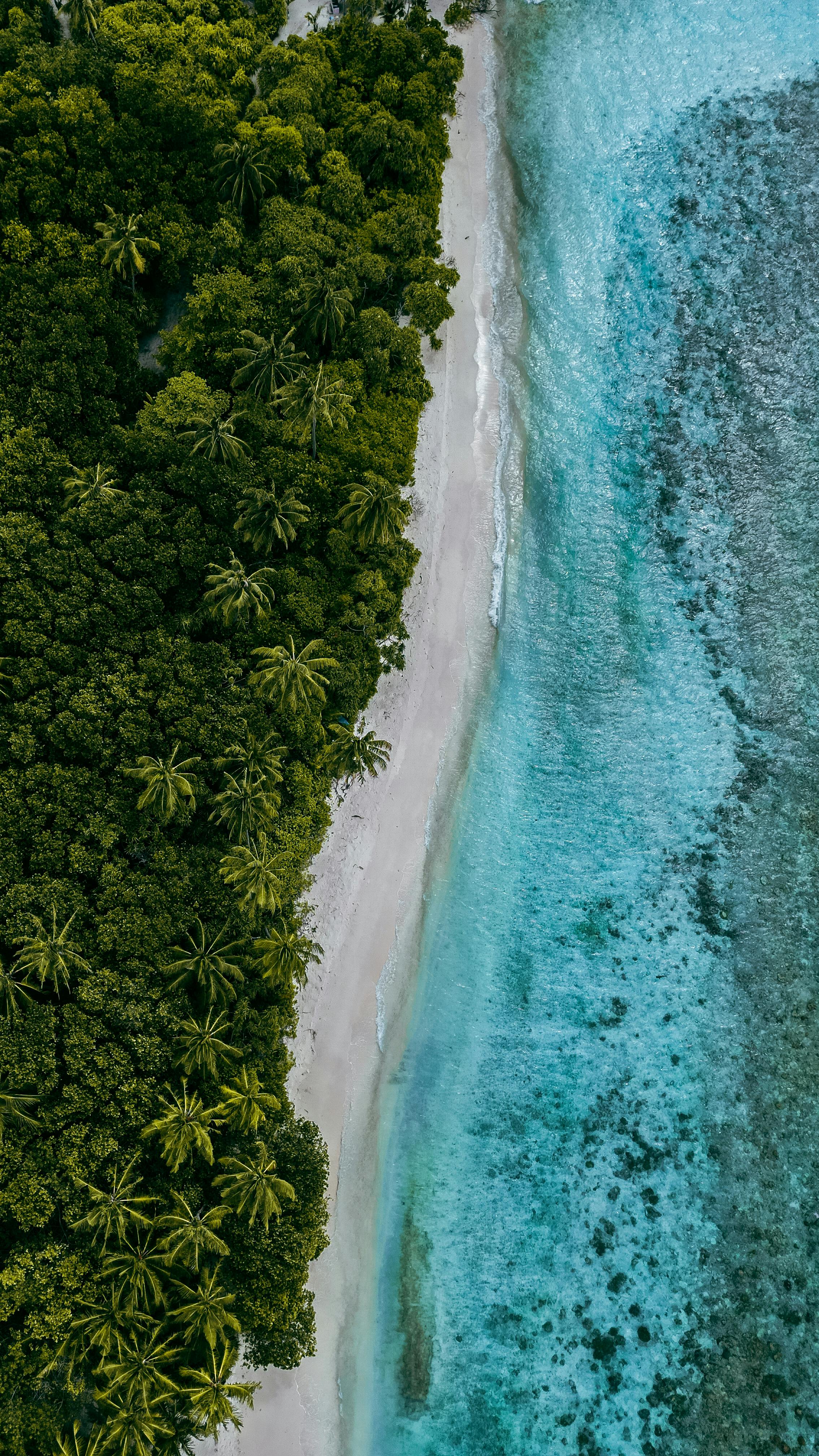 Tropical Shores Photos, Download The BEST Free Tropical Shores Stock ...