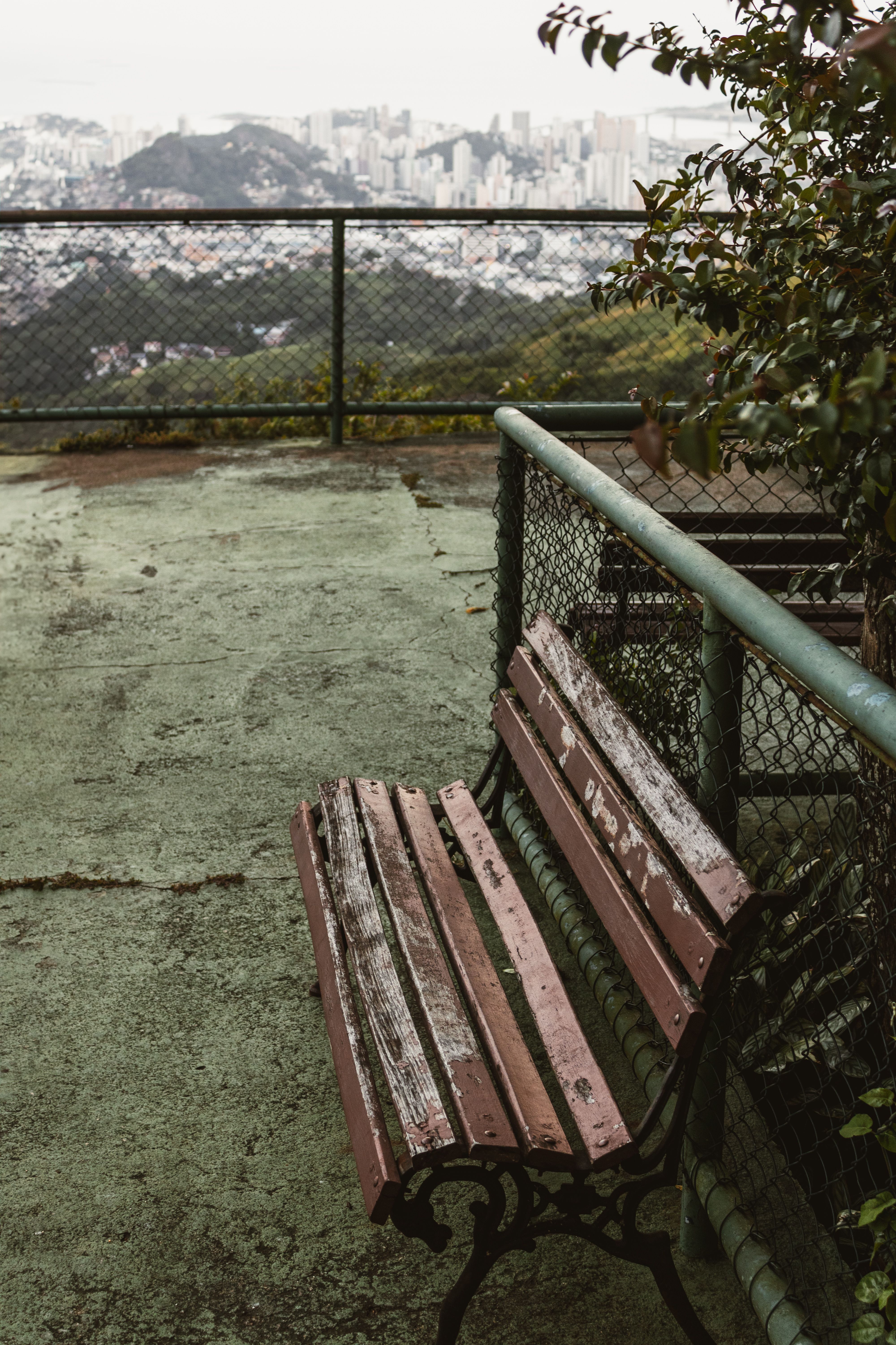 Weathered bench overlooking urban landscape · Free Stock Photo
