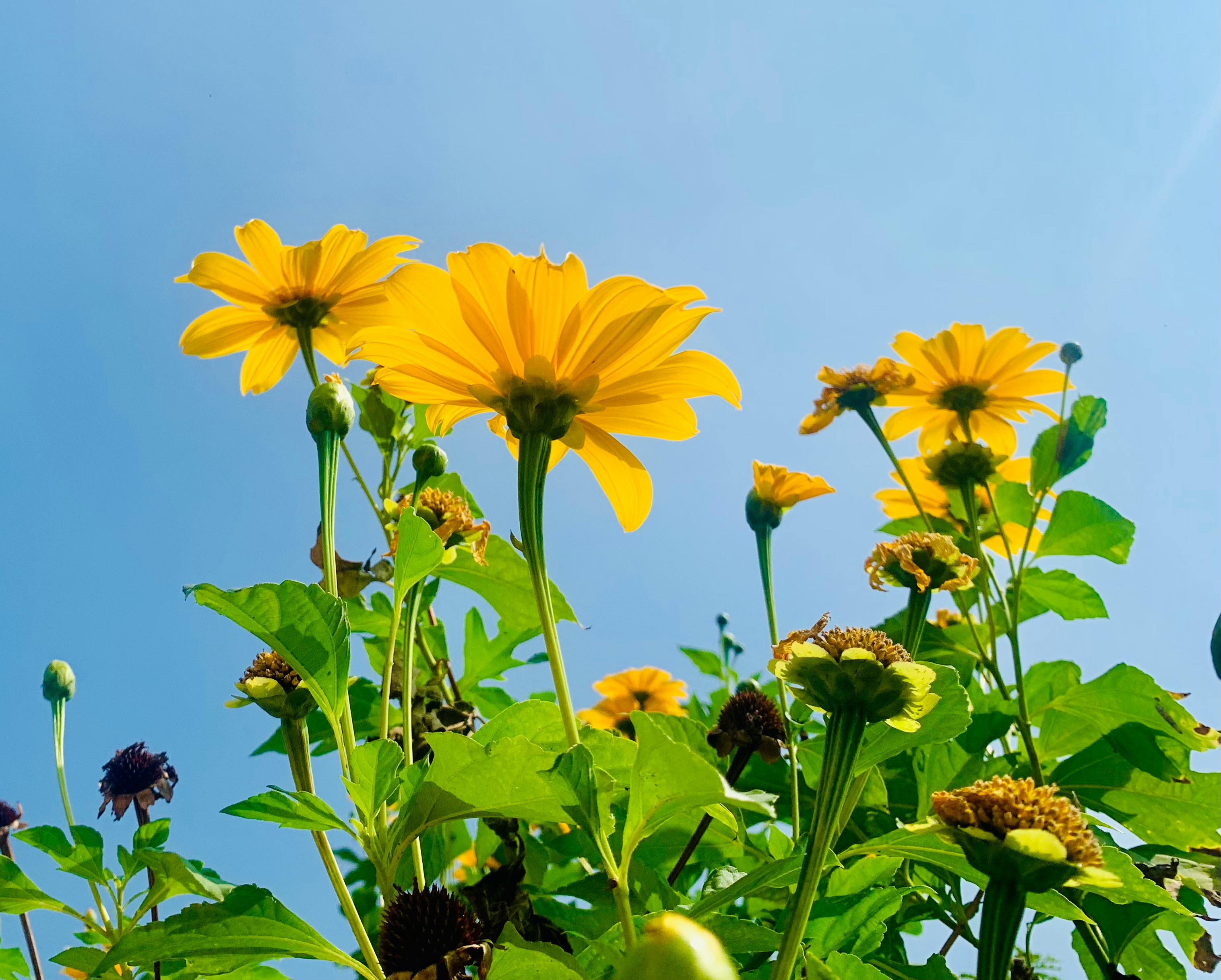 Kpmg+Wallpaper Photos, Download The BEST Free Kpmg+Wallpaper Stock ...