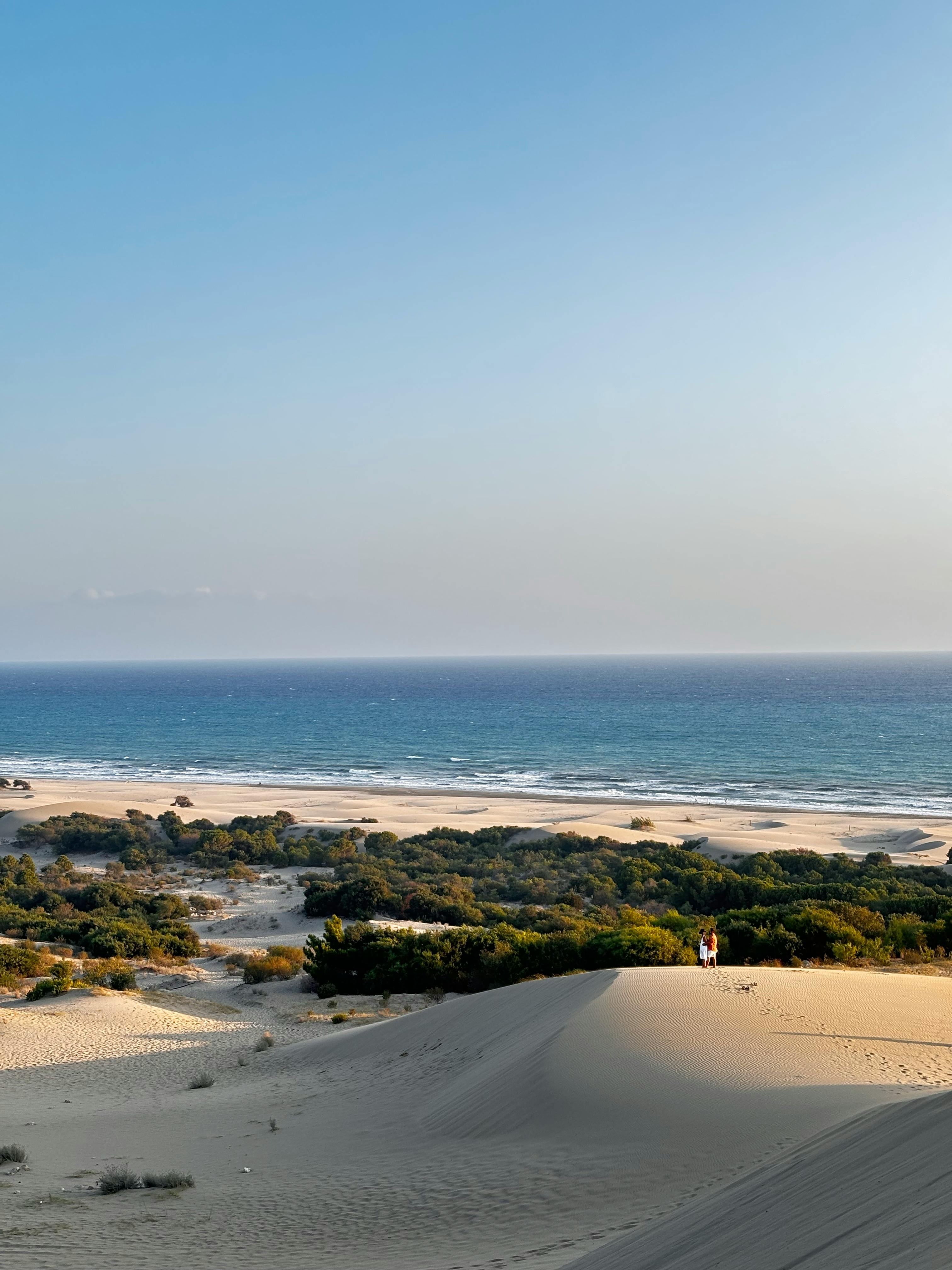 Camel Toe Beach Photos, Download The BEST Free Camel Toe Beach Stock ...