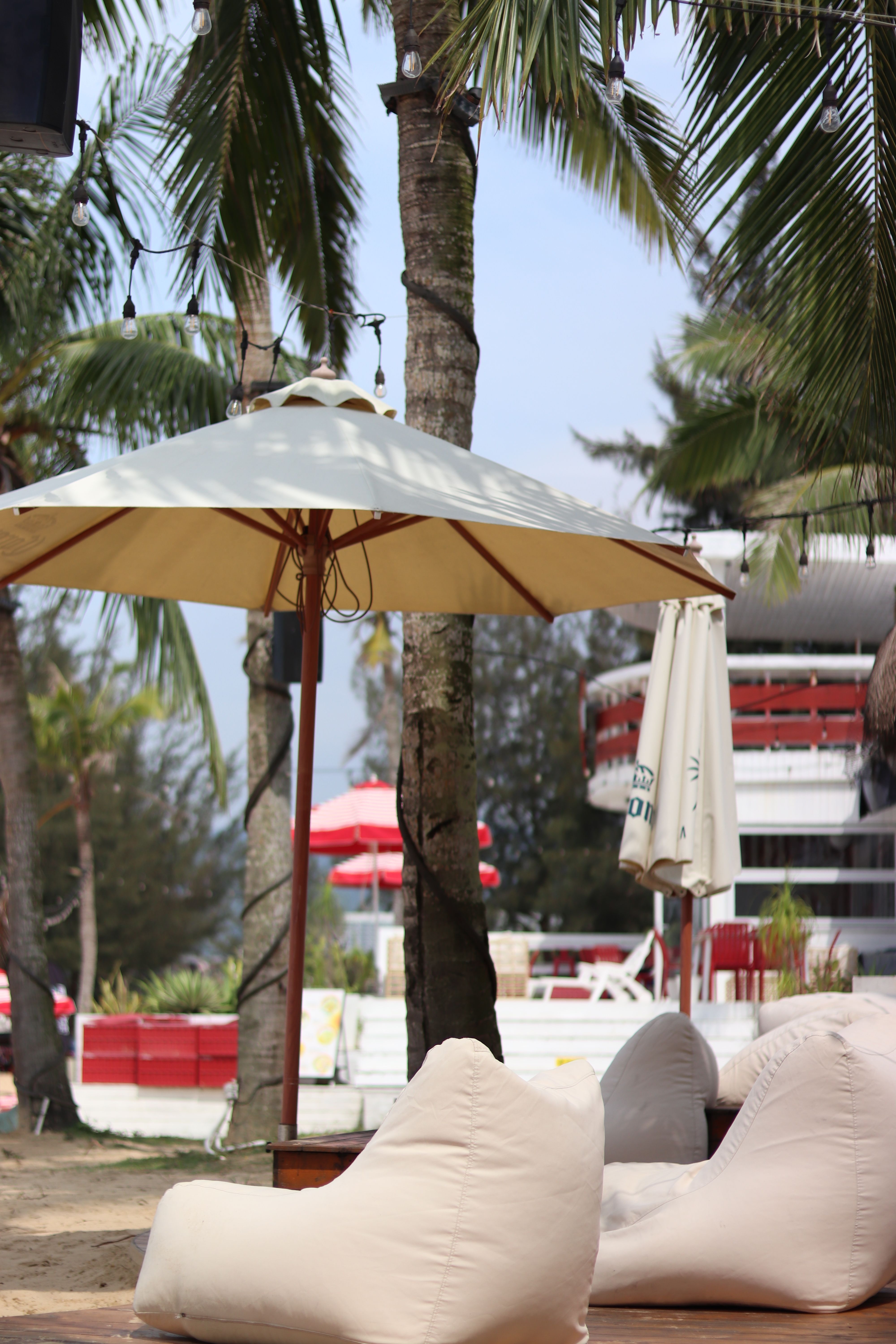 Relajante Salón Junto A La Playa Con Sombrillas Y Palmeras · Foto de ...