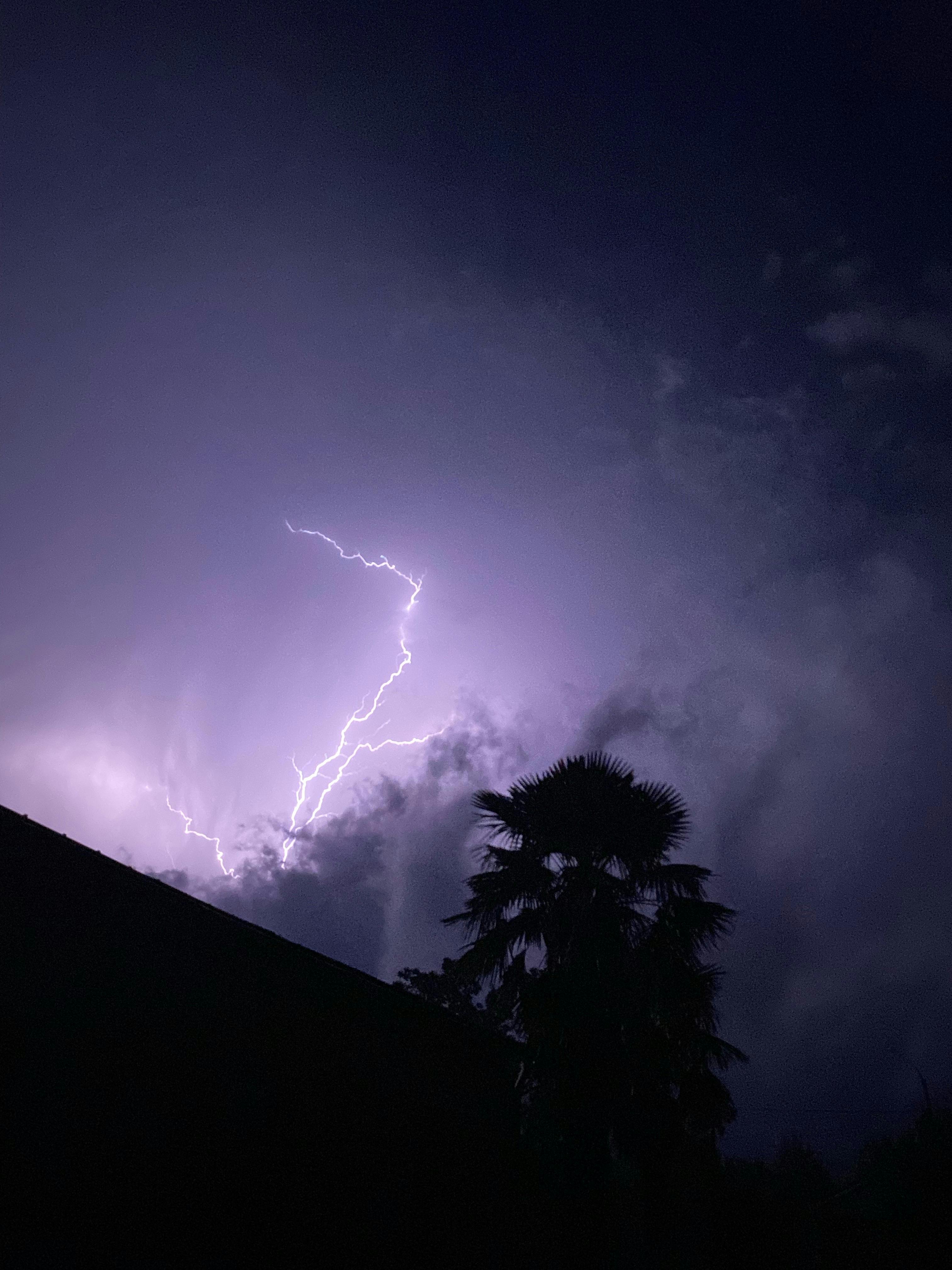 Dramatic Lightning Storm Over Tropical Palm · Free Stock Photo