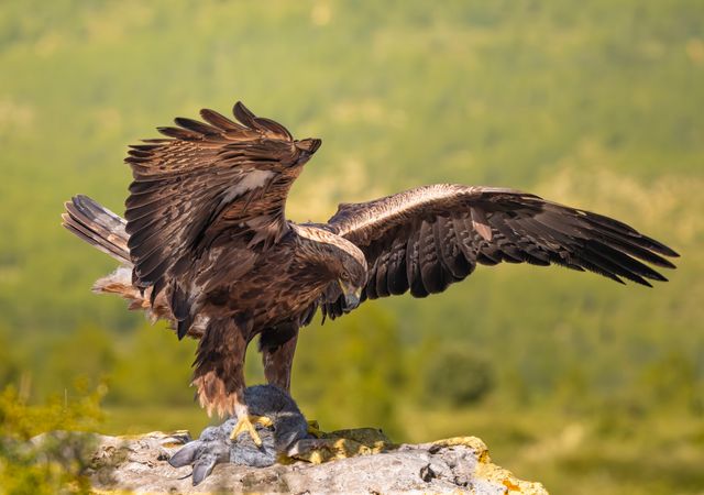 Royal Golden Eagle's Journey to Sustainable Business in Asia