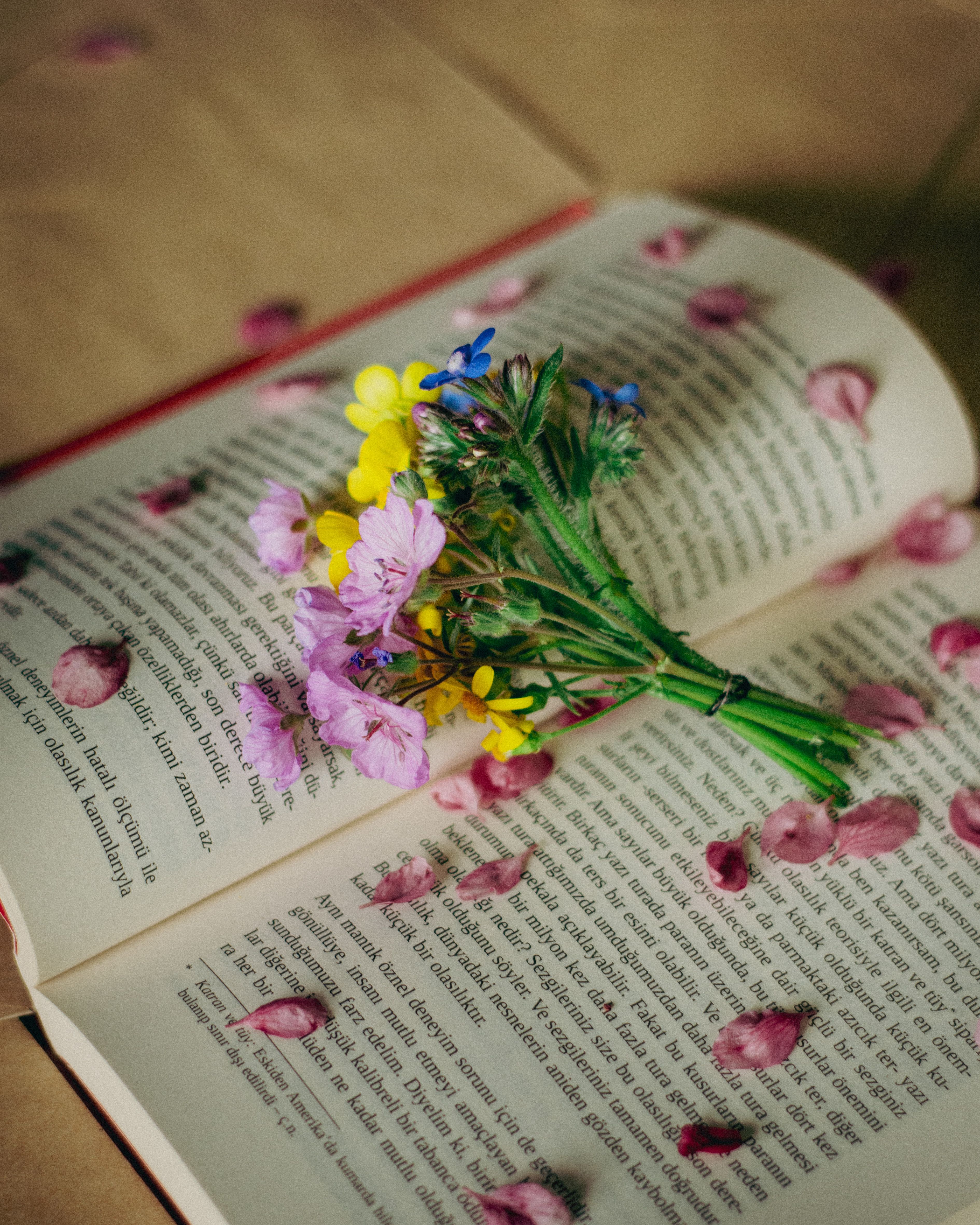 Book Aesthetic Photos, Download The BEST Free Book Aesthetic Stock ...