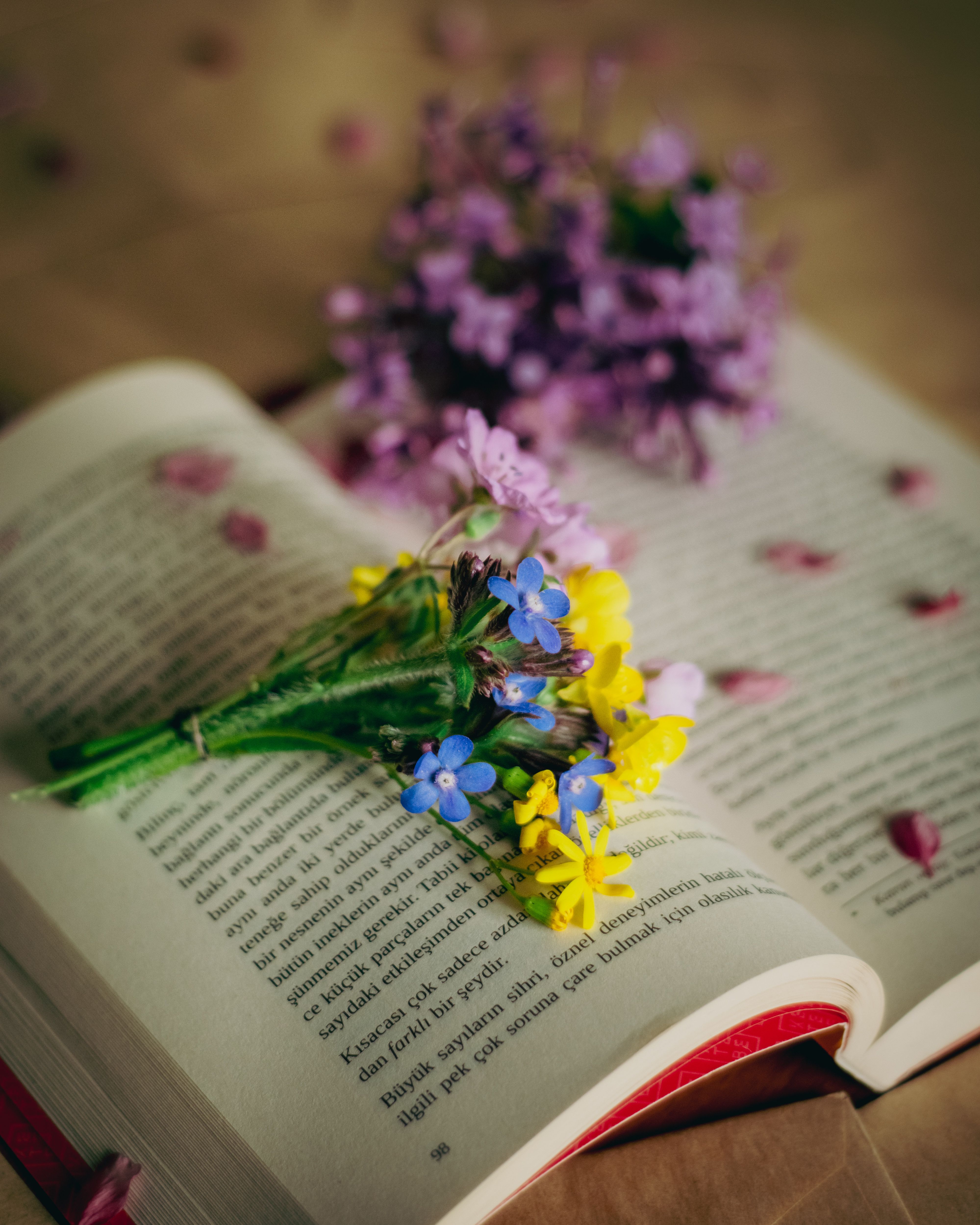 Poetry Background Photos, Download The BEST Free Poetry Background ...