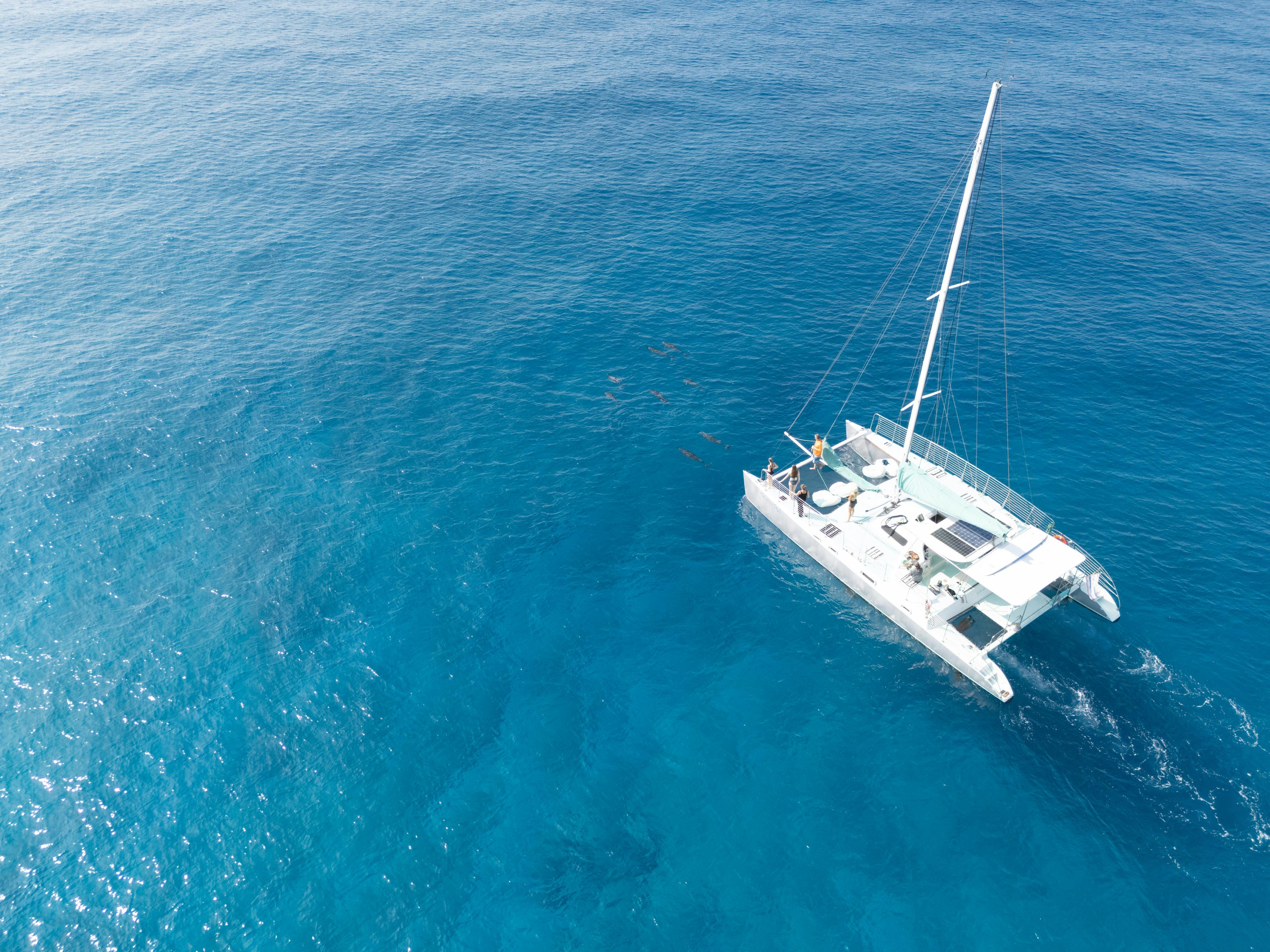 White and Blue Boat on Blue Sea · Free Stock Photo