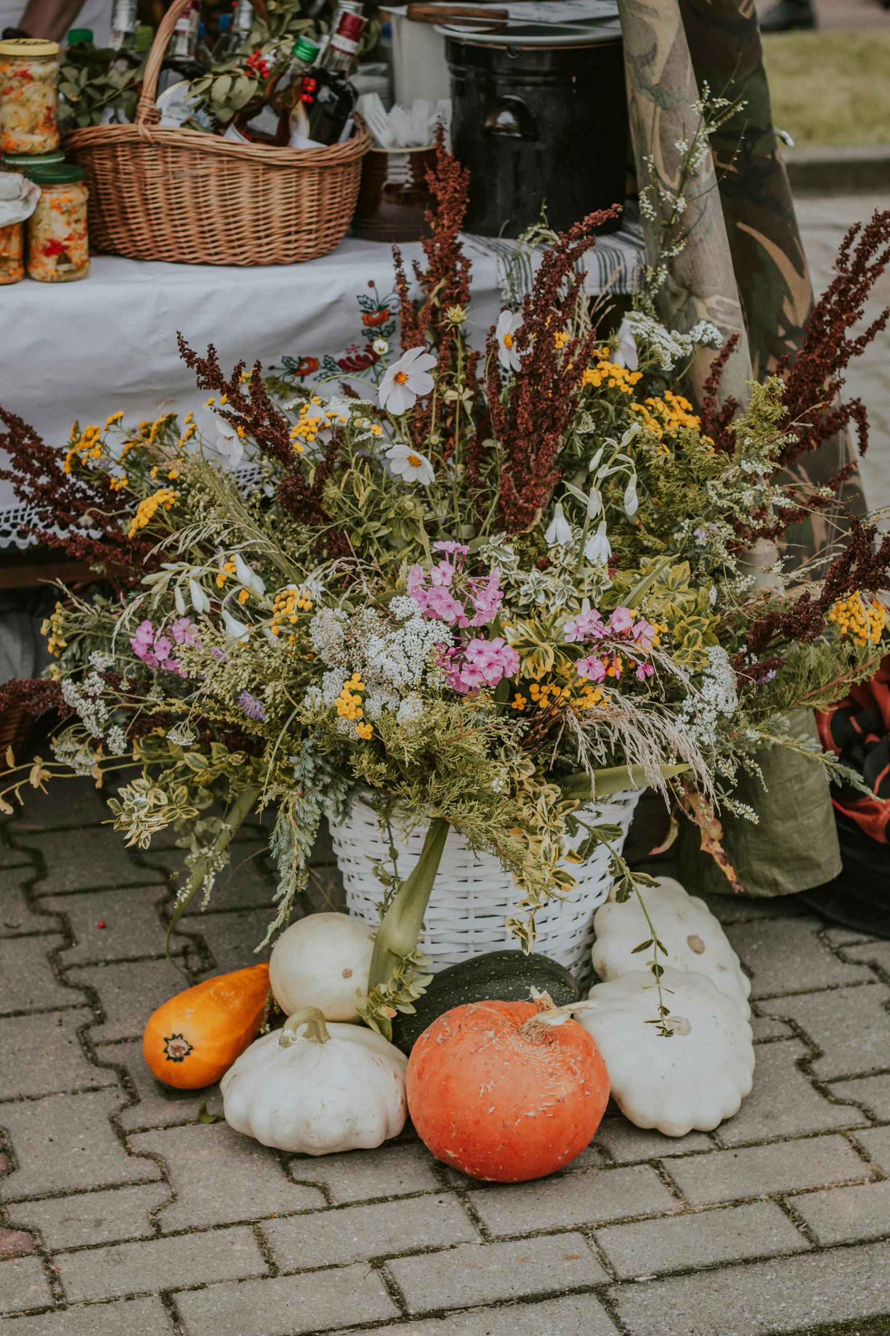 Boho Photos, Download The BEST Free Boho Stock Photos & HD Images