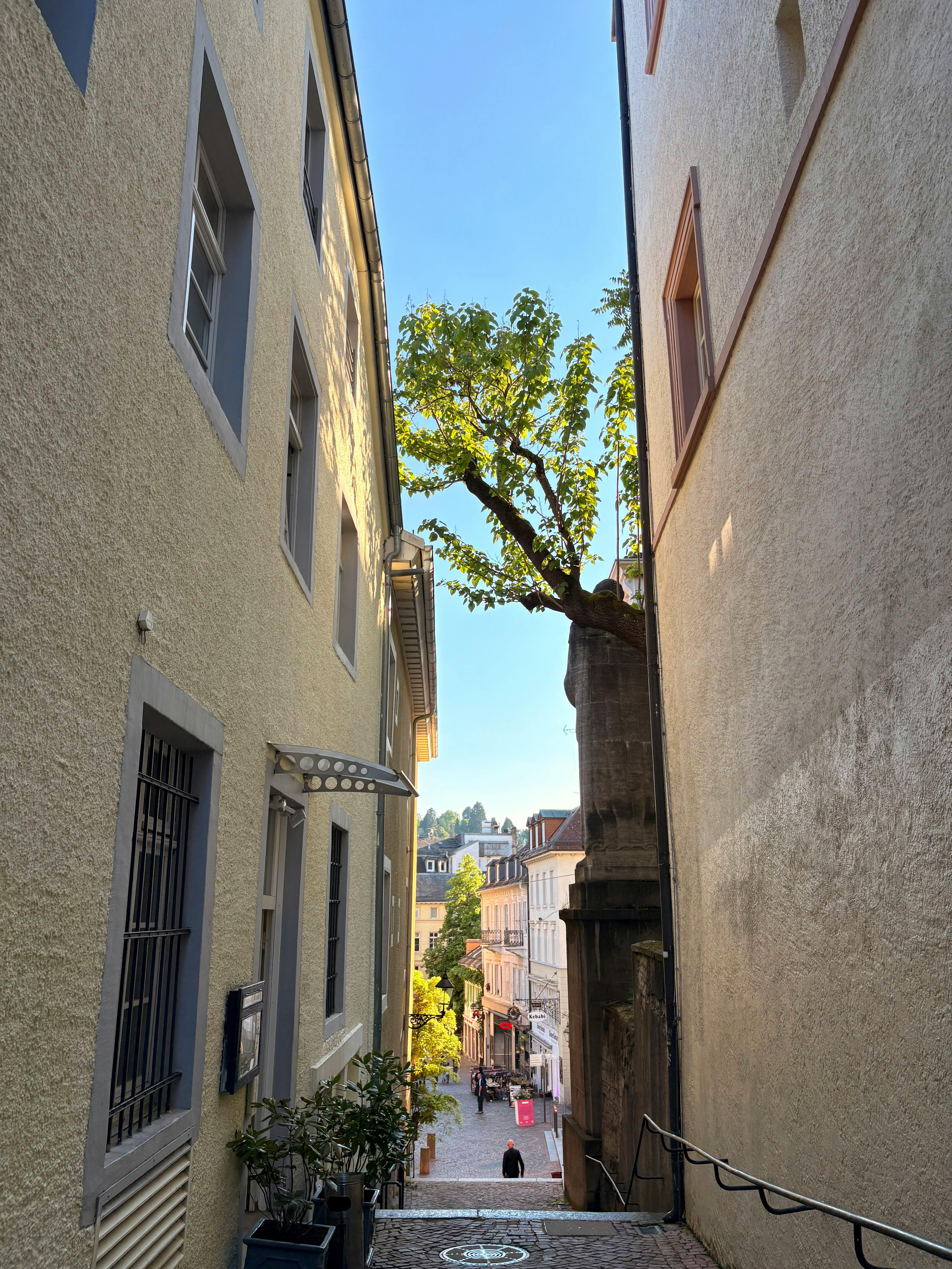 Charming Alleyway View with Tree and Buildings · Free Stock Photo