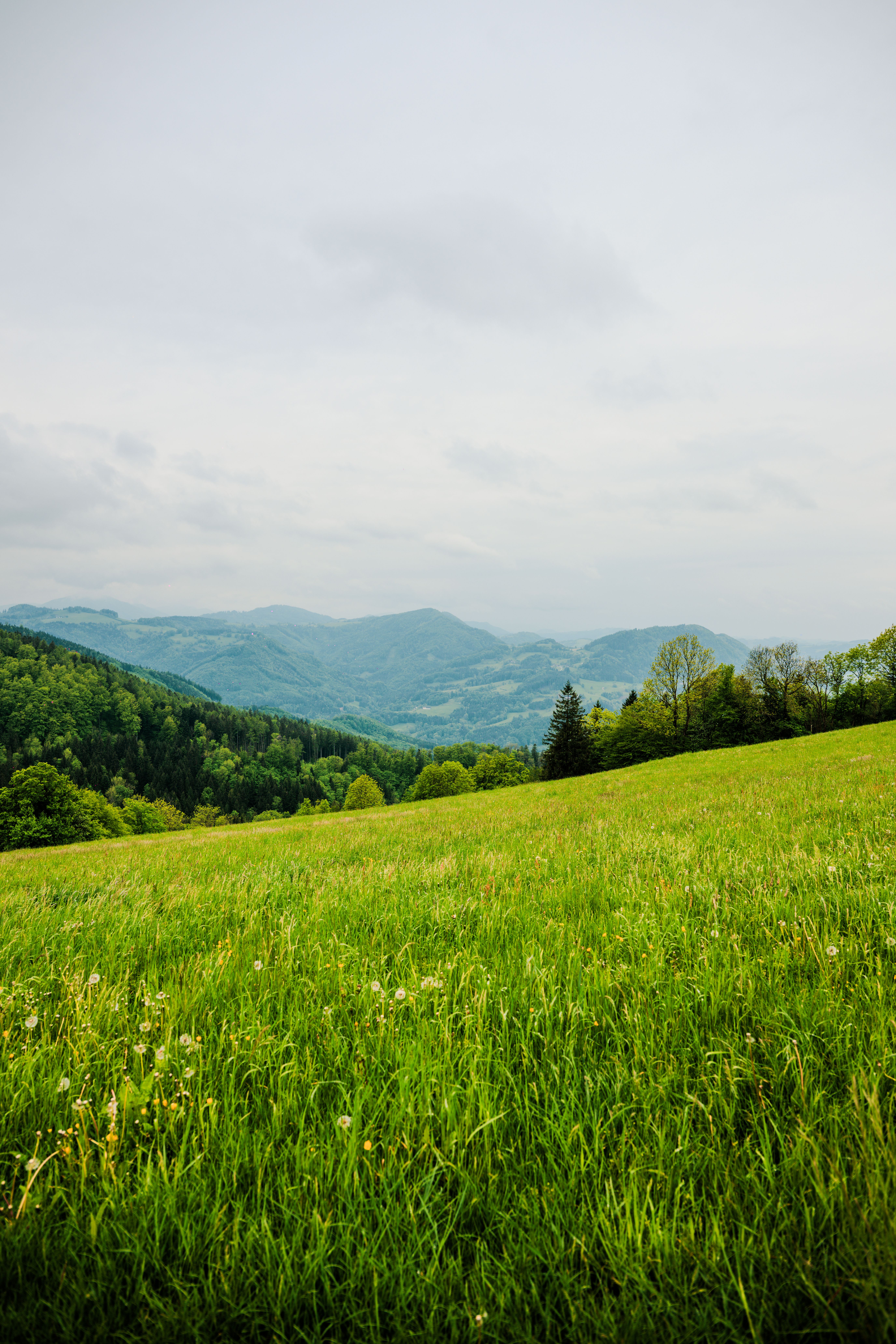 Landscape Photography of Green Grass Field · Free Stock Photo