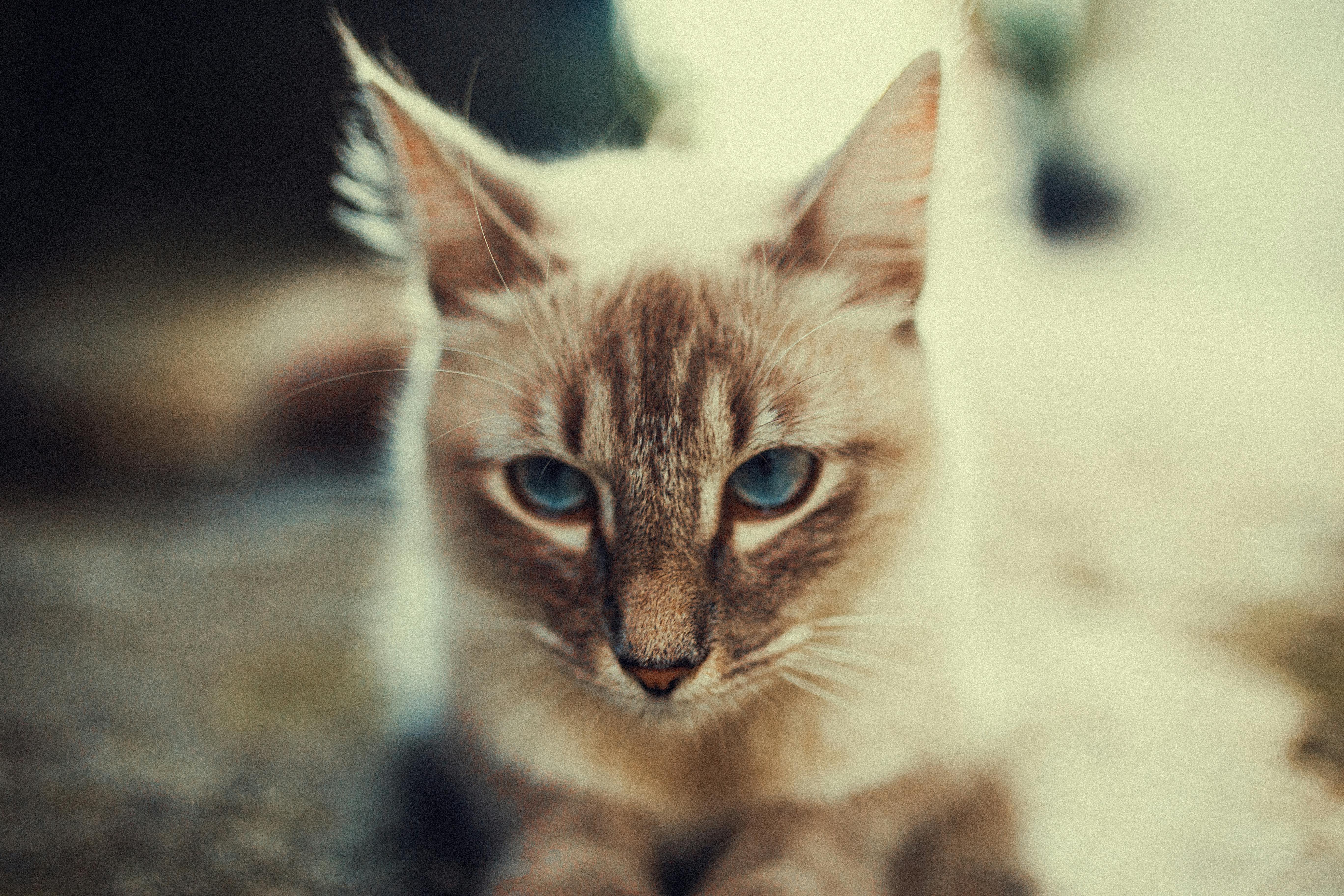 Cute And Preppy Photos, Download The BEST Free Cute And Preppy Stock ...