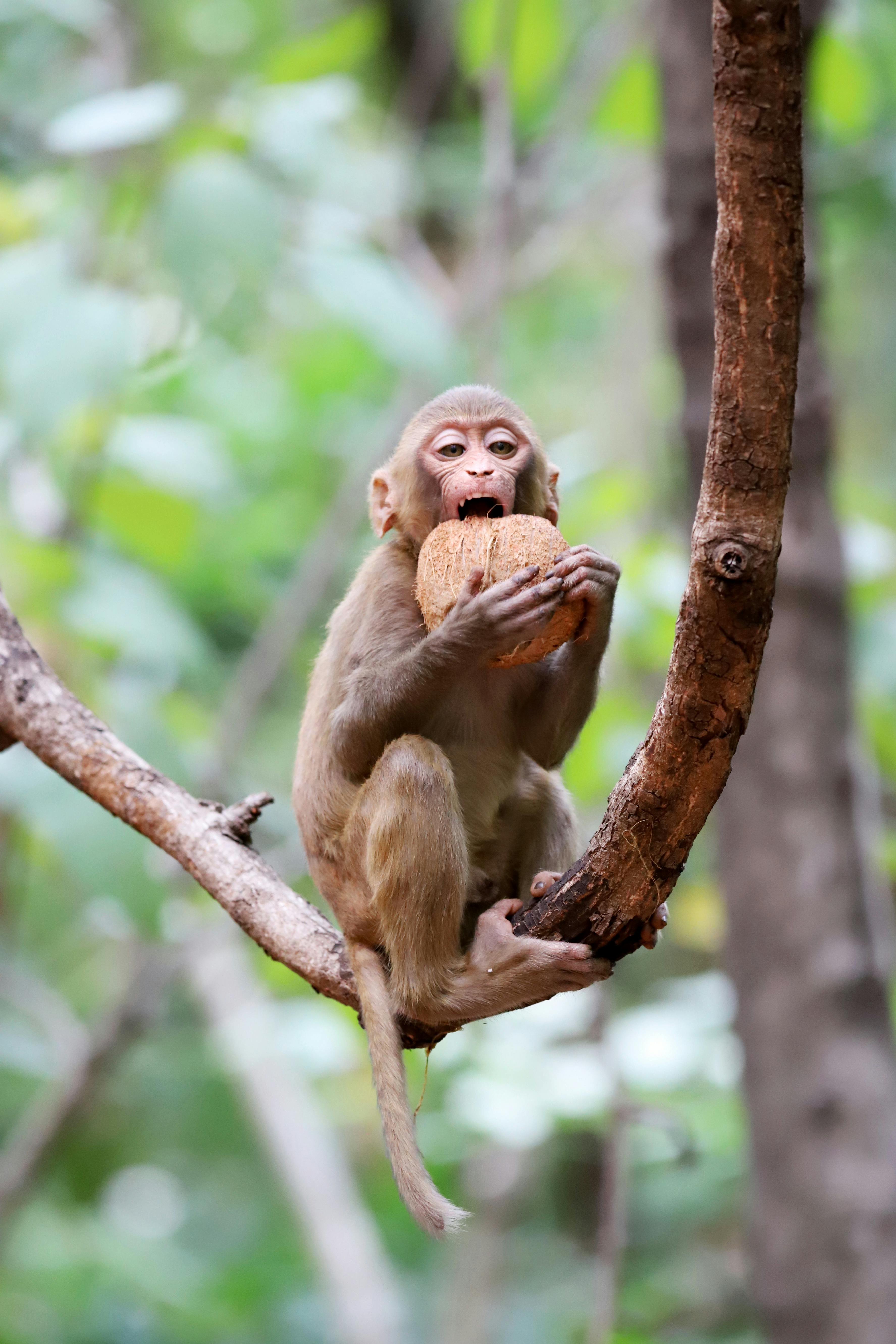 Behavior Photos, Download The BEST Free Behavior Stock Photos & HD Images