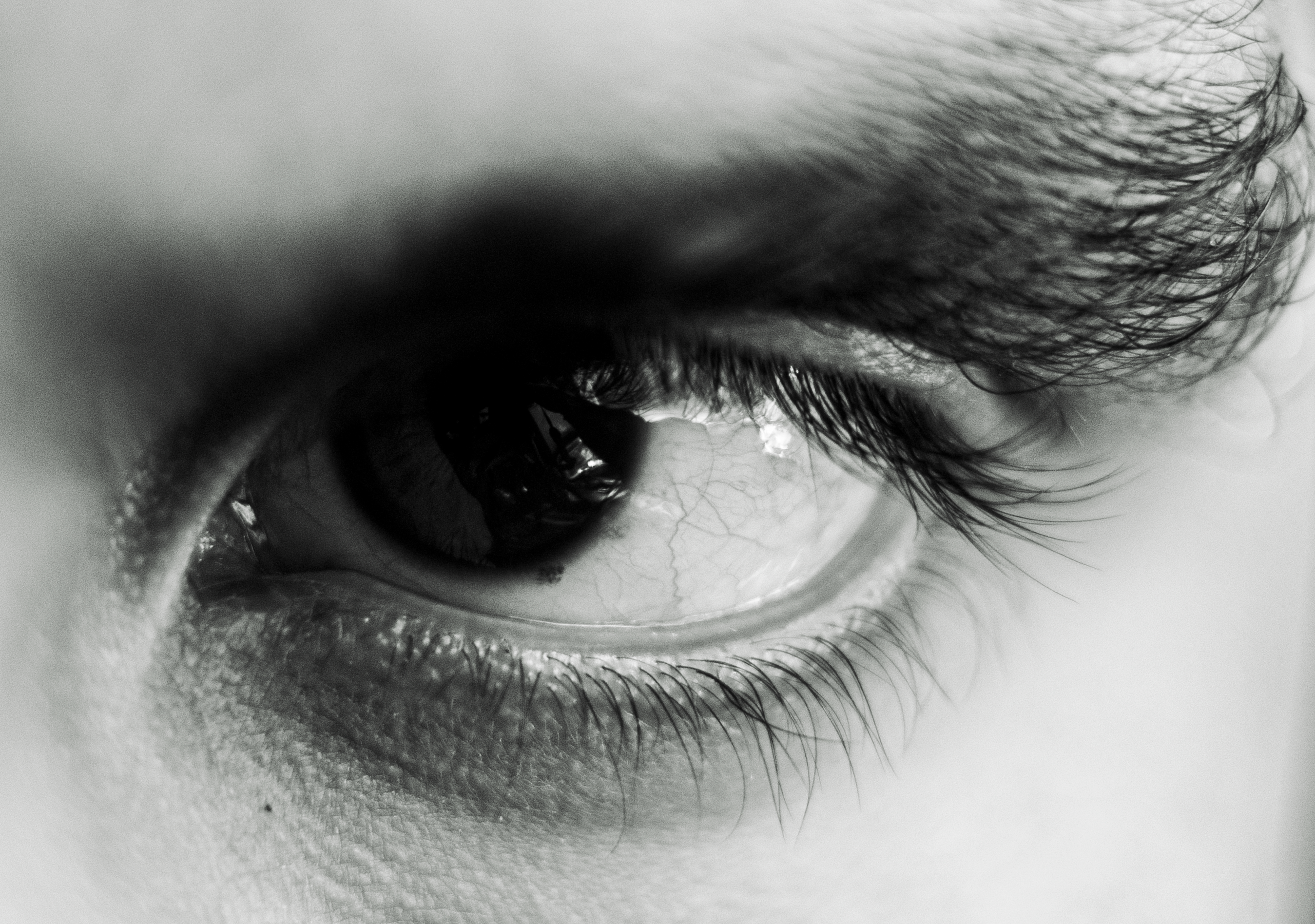 Close-up Black and White Portrait of Human Eye · Free Stock Photo