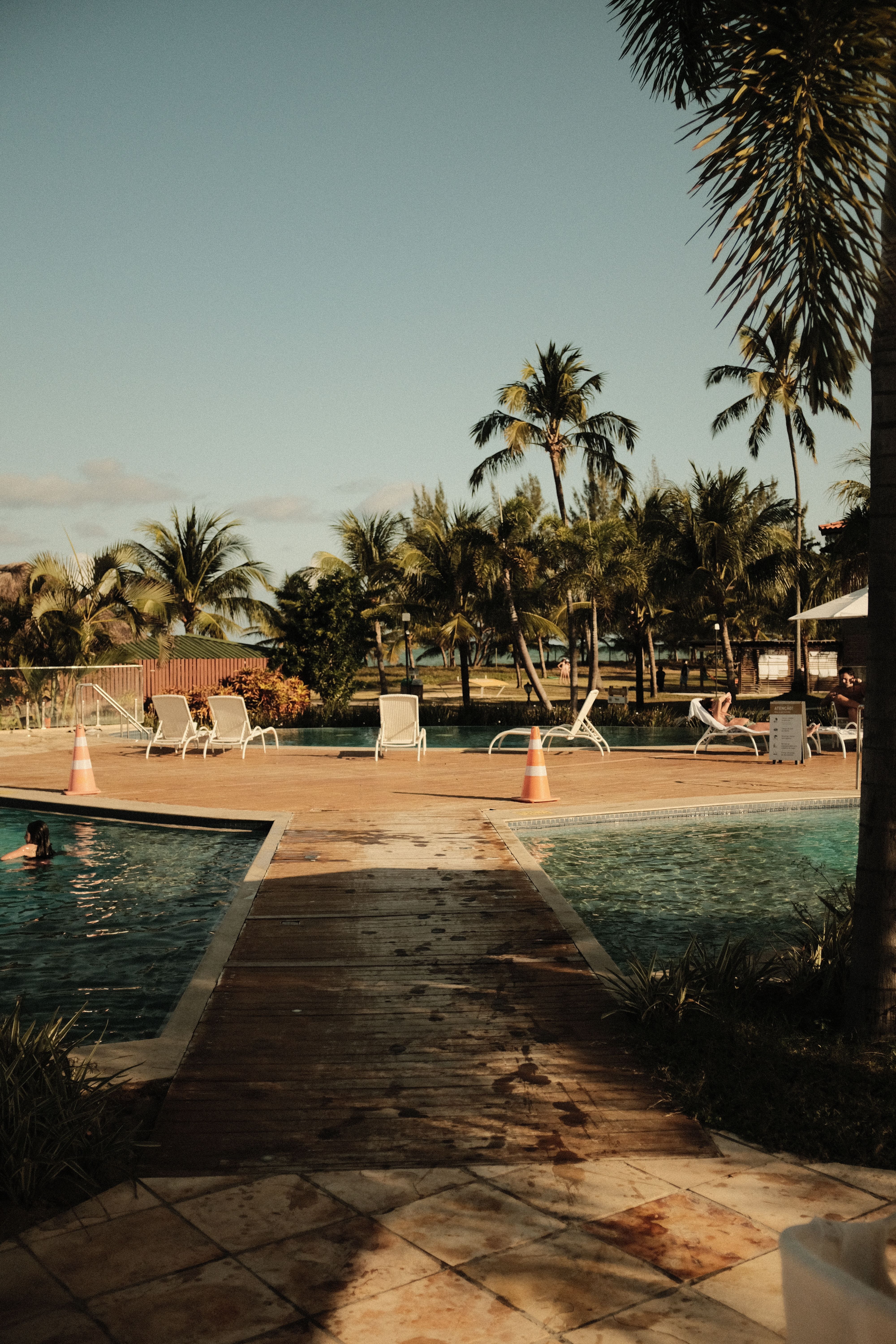 Summer Vibes Photos, Download The BEST Free Summer Vibes Stock Photos ...