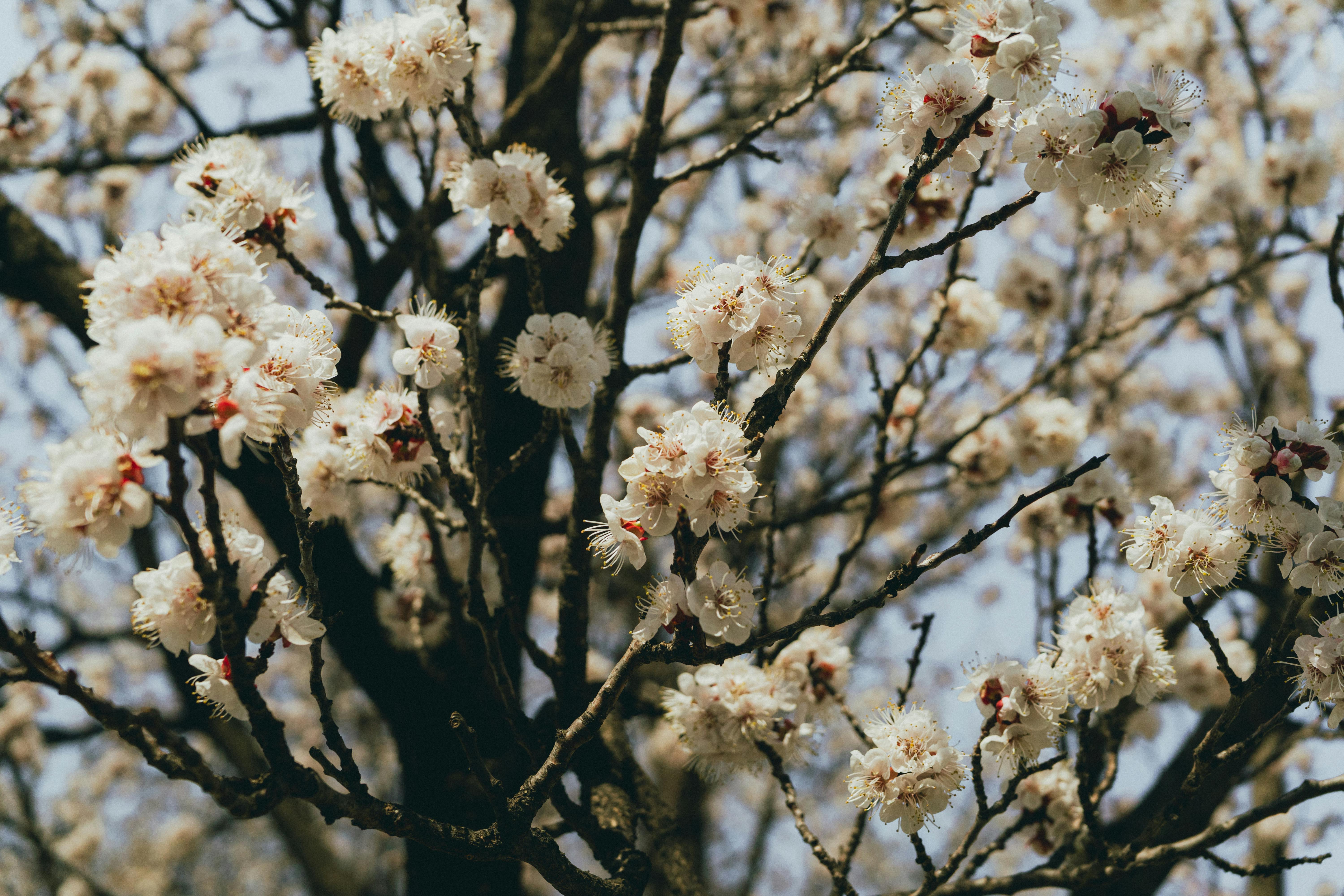 9k Wallpaper Photos, Download The BEST Free 9k Wallpaper Stock Photos ...