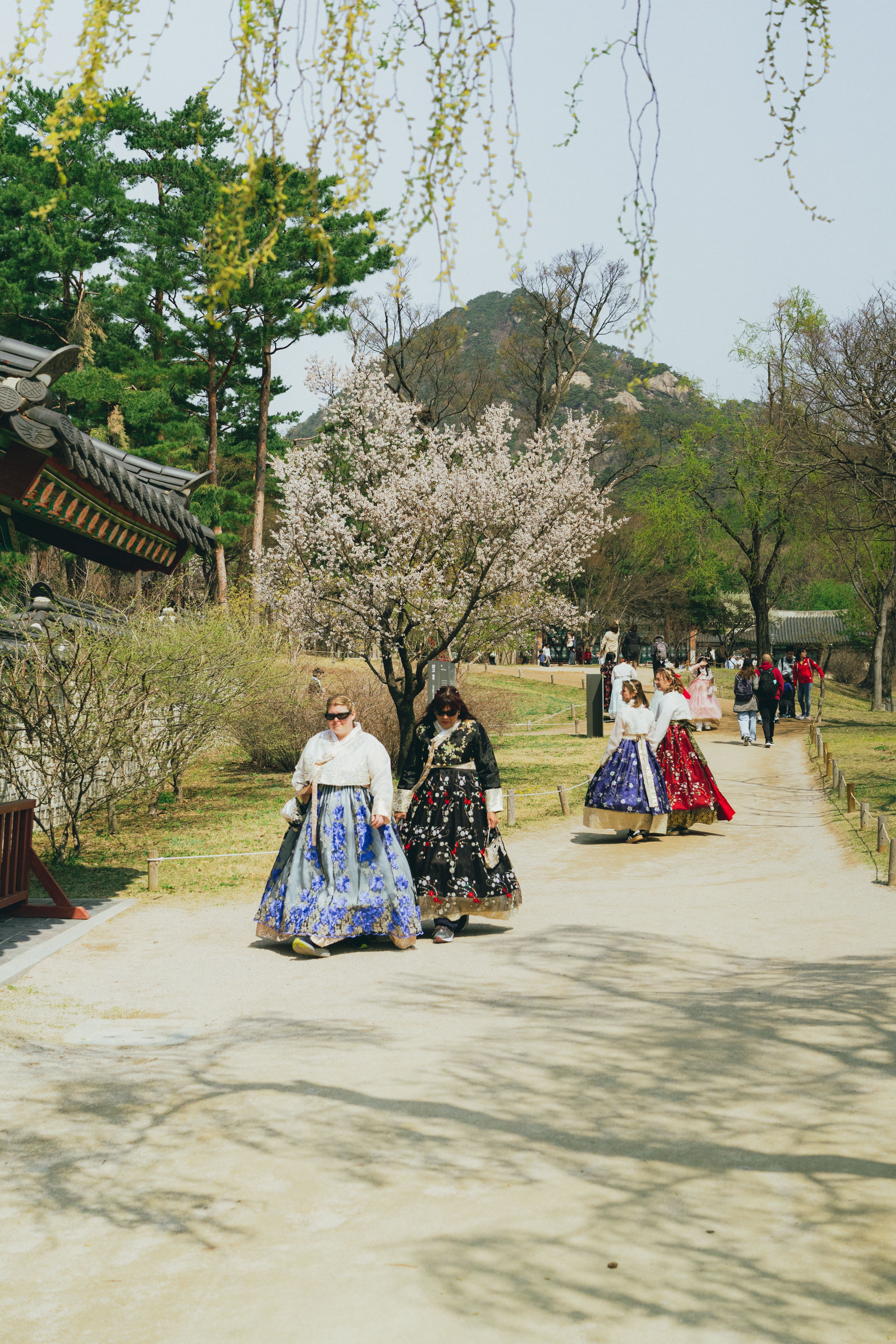 Traditional Hanbok Fashion in Seoul's Scenic Spring · Free Stock Photo
