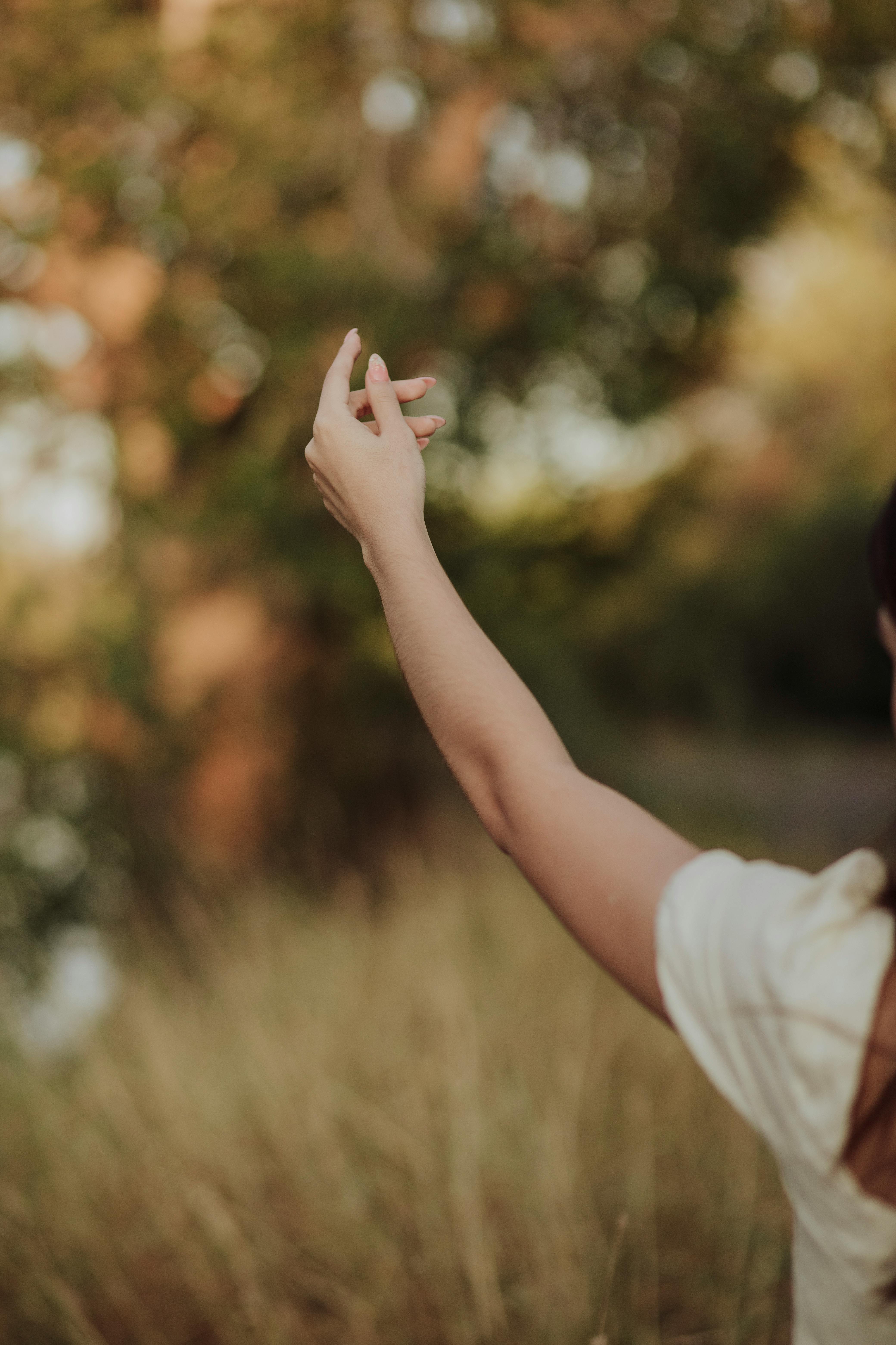 Hand Reaching Upward in Nature's Embrace · Free Stock Photo