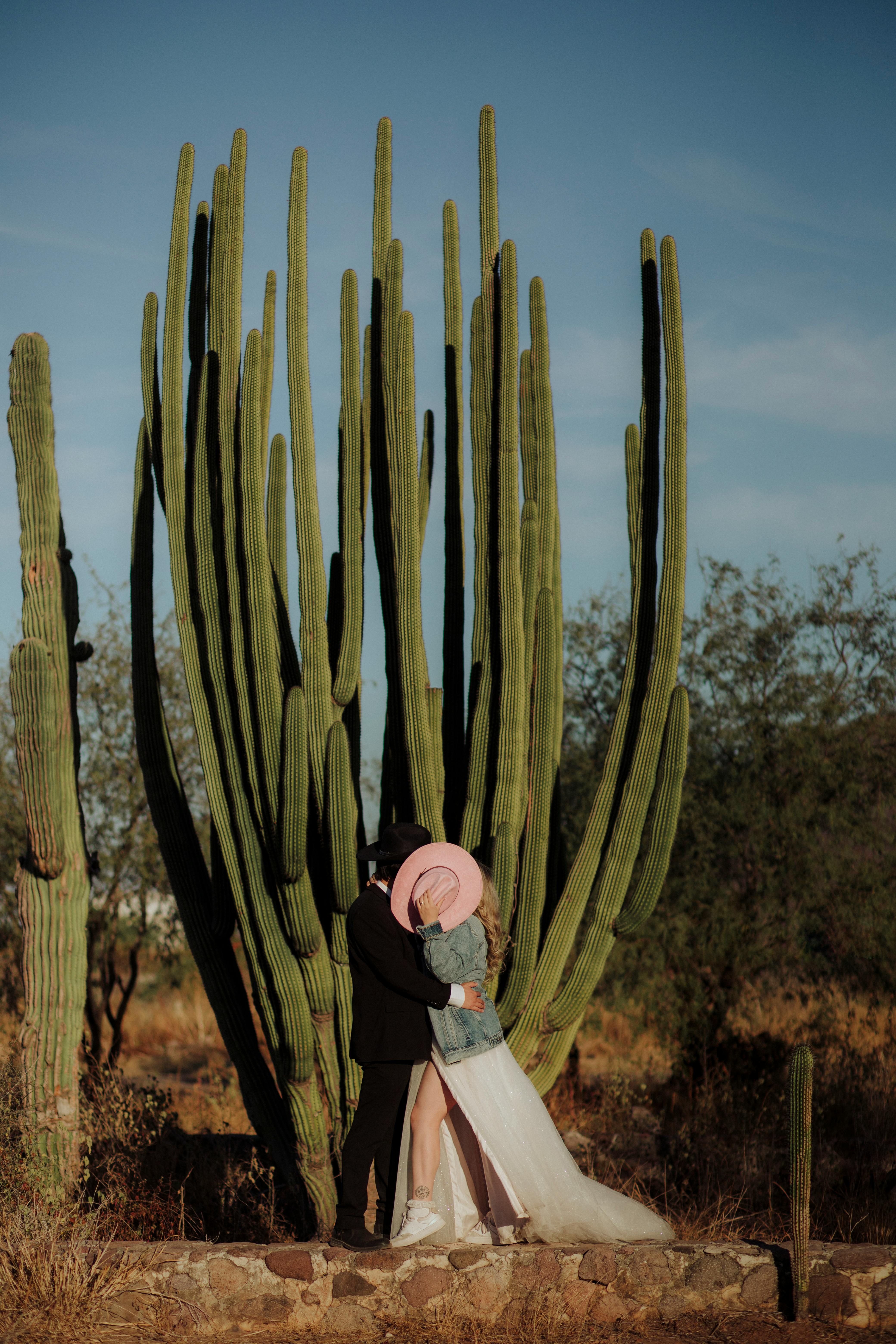 Romantic Couple Embracing by Tall Cacti · Free Stock Photo