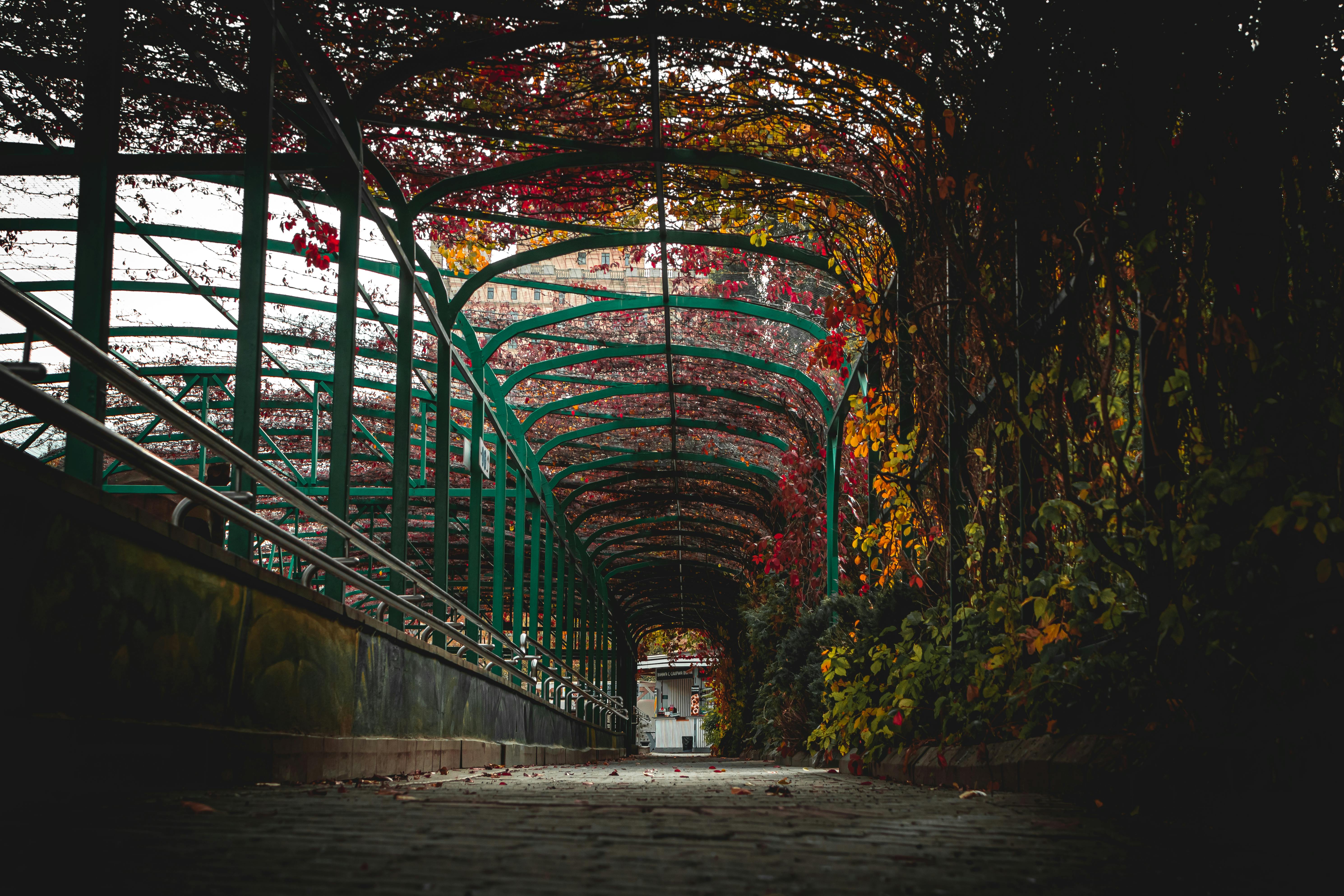 200,000+ Best Perspective Landscape Background Photos · 100% Free ...