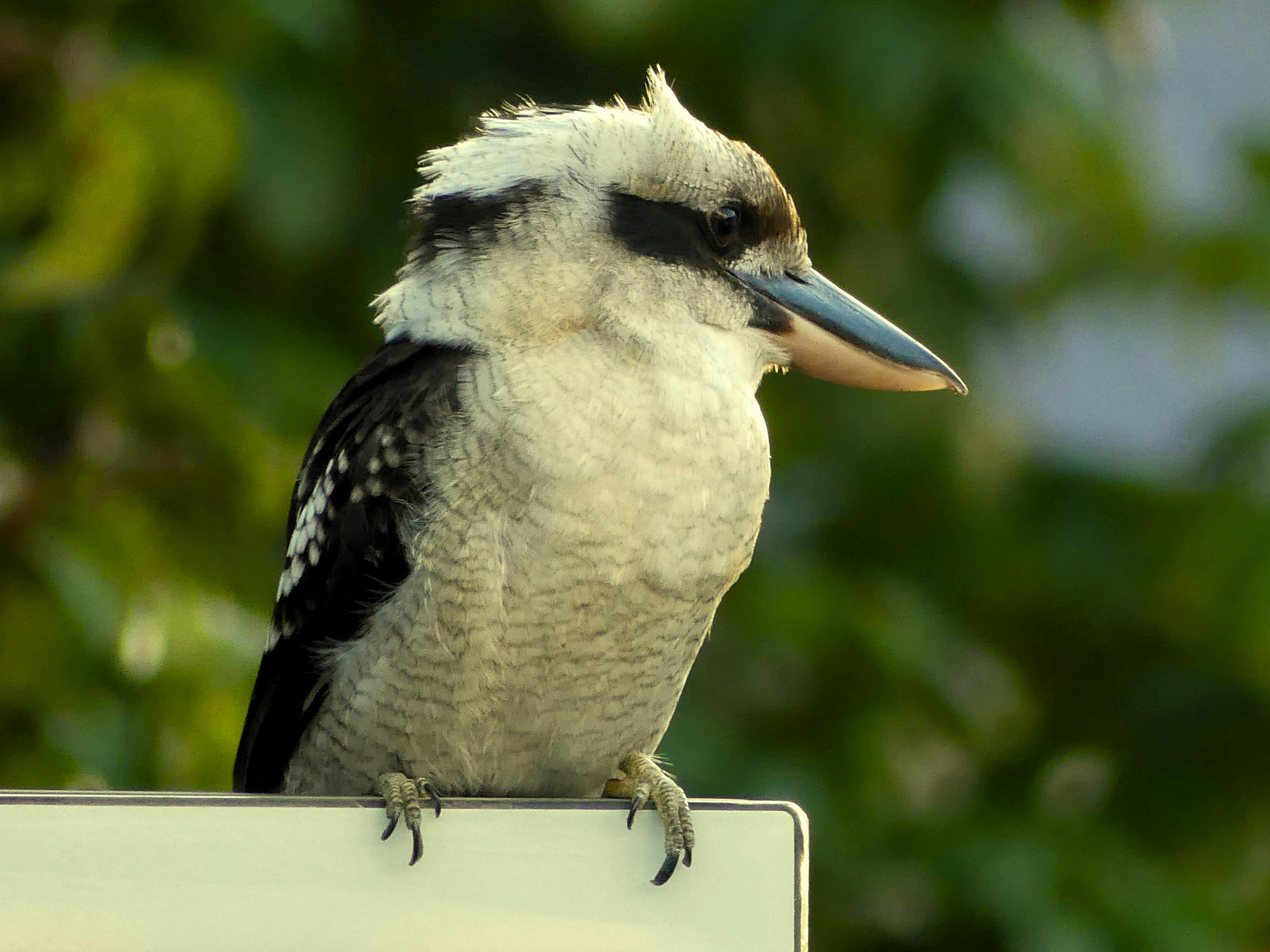 Conclusion Photo Photos, Download The BEST Free Conclusion Photo Stock ...