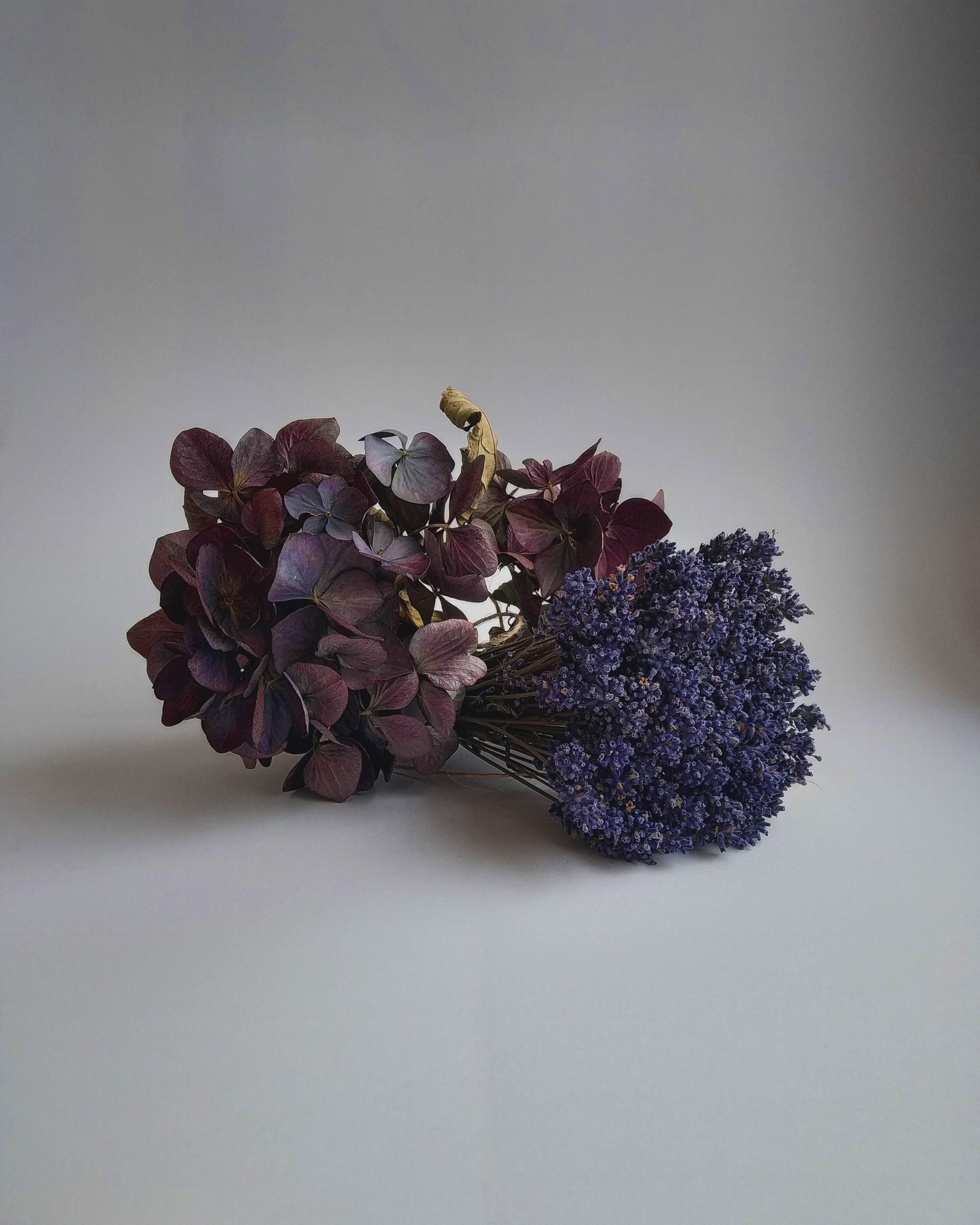 Elegant Arrangement of Dried Hydrangea and Lavender · Free Stock Photo